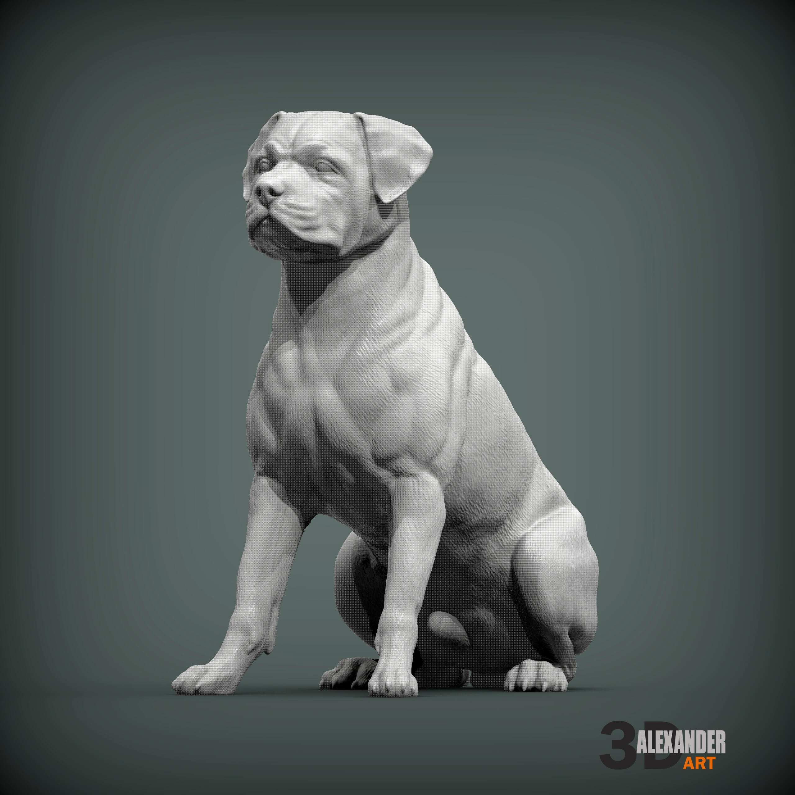 Rottweiler Is Sitting - 3D Model by Alexander3dart