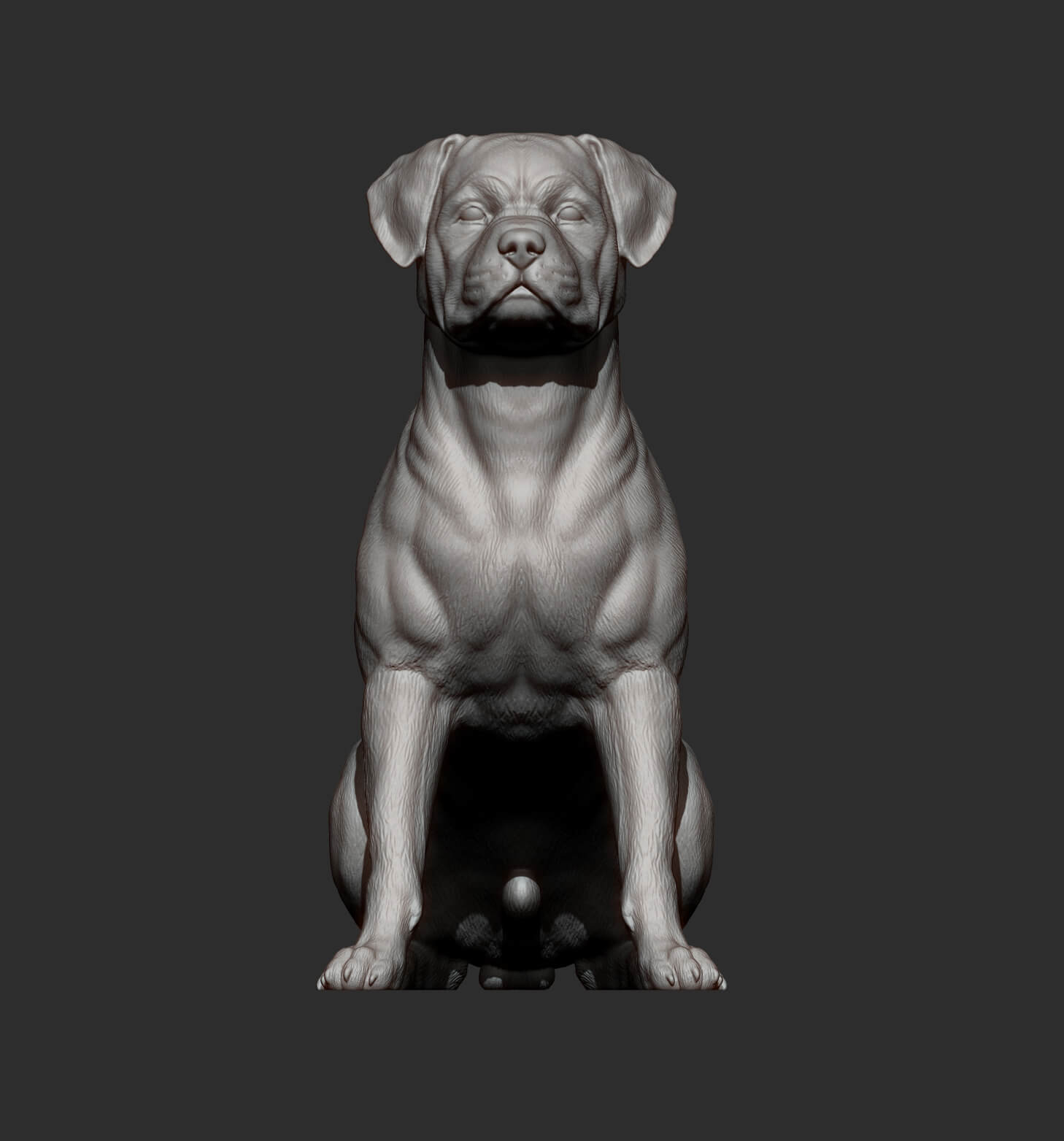 Rottweiler Is Sitting - 3D Model by Alexander3dart