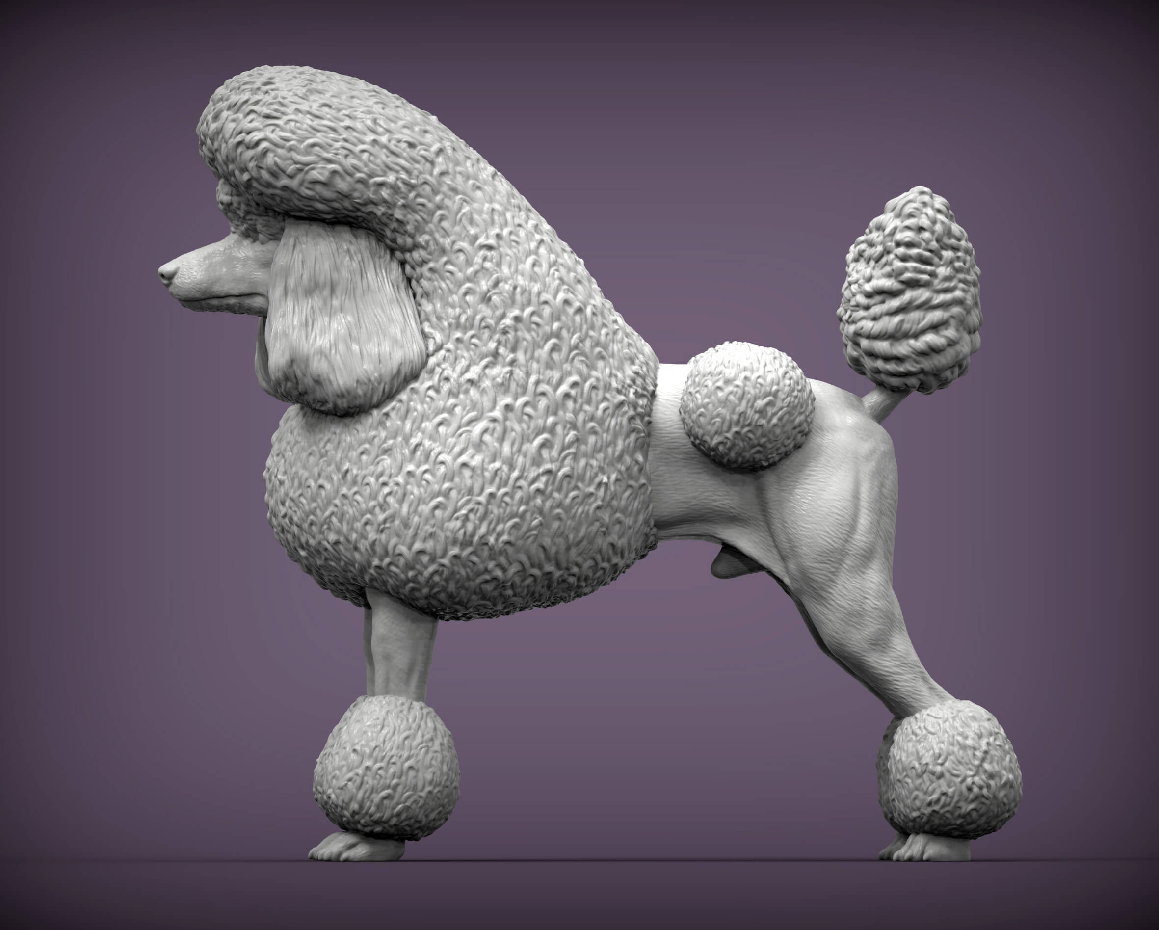 Royal Poodle - 3D Model by Alexander3dart