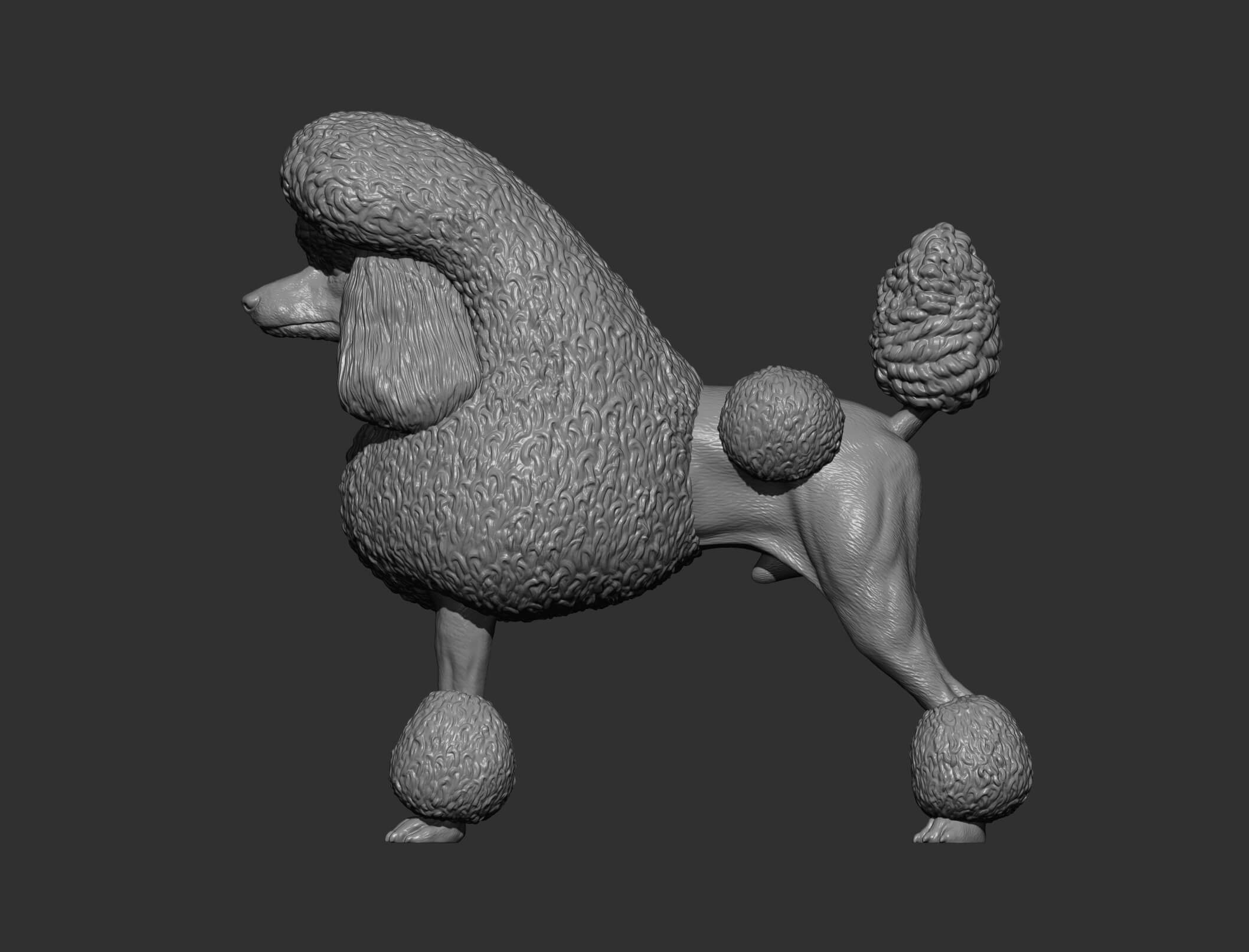 Royal Poodle - 3D Model by Alexander3dart