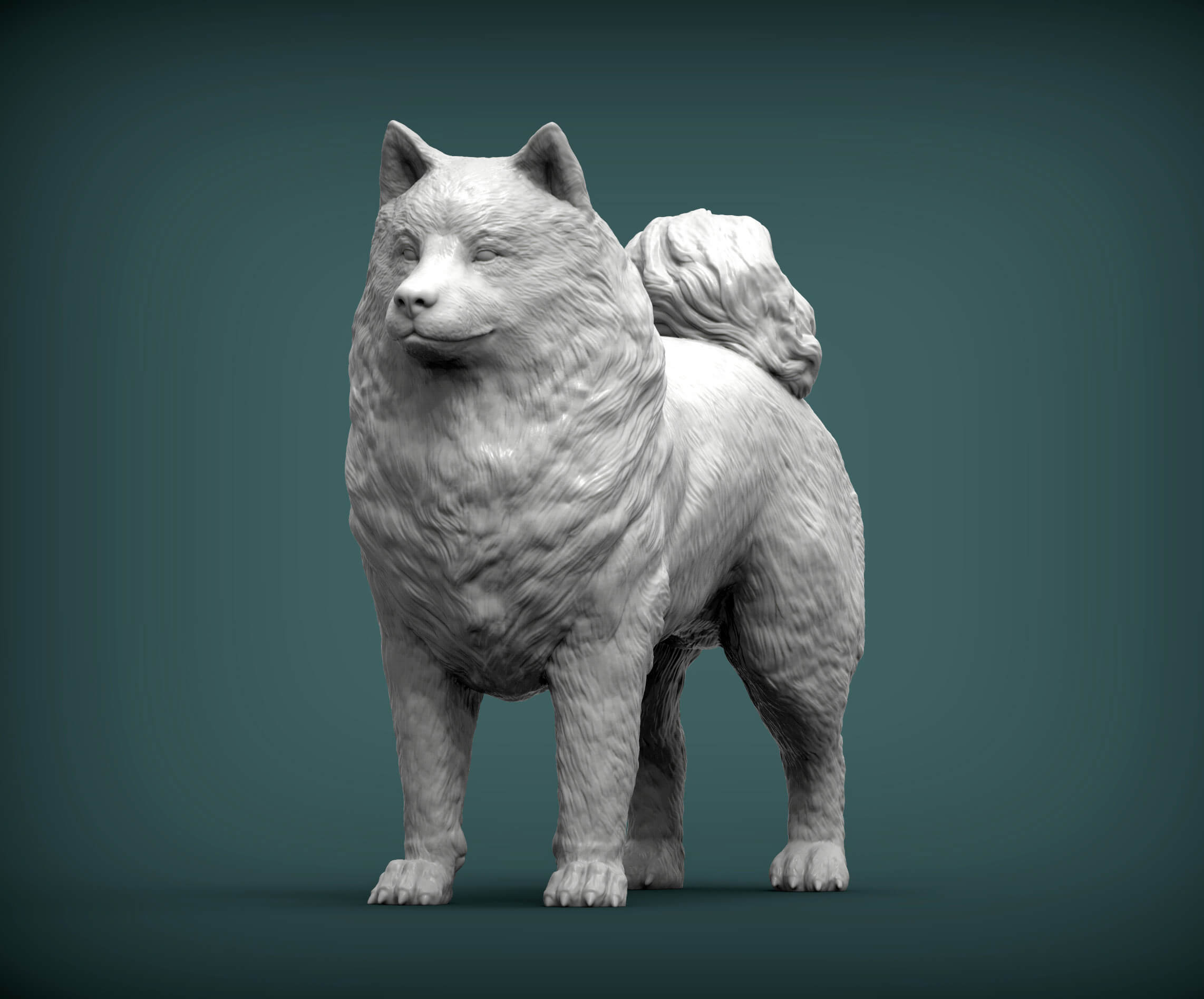 Samoyed Dog 3D Print Model by Alexander3dart