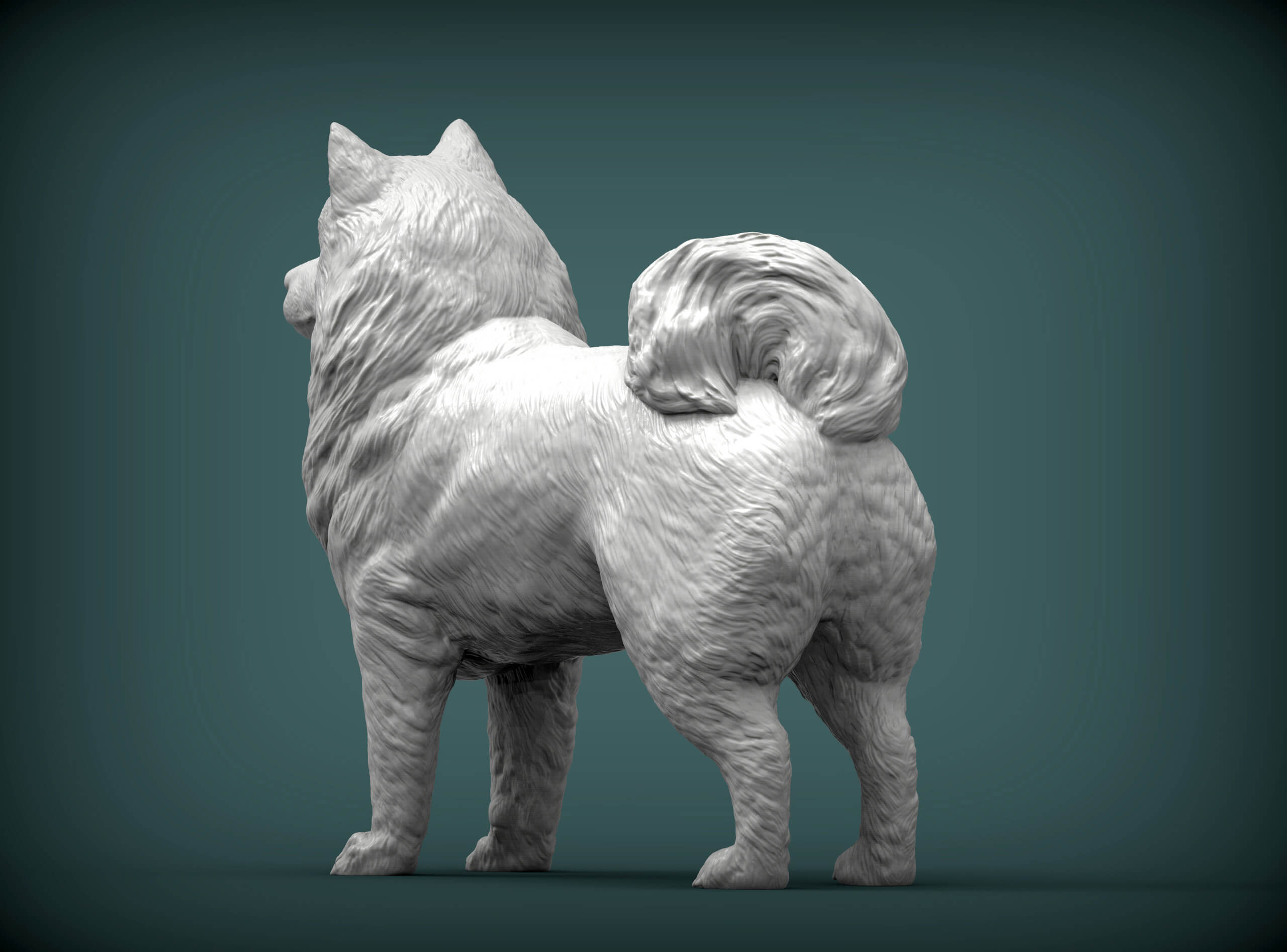 Samoyed Dog 3D Print Model by Alexander3dart