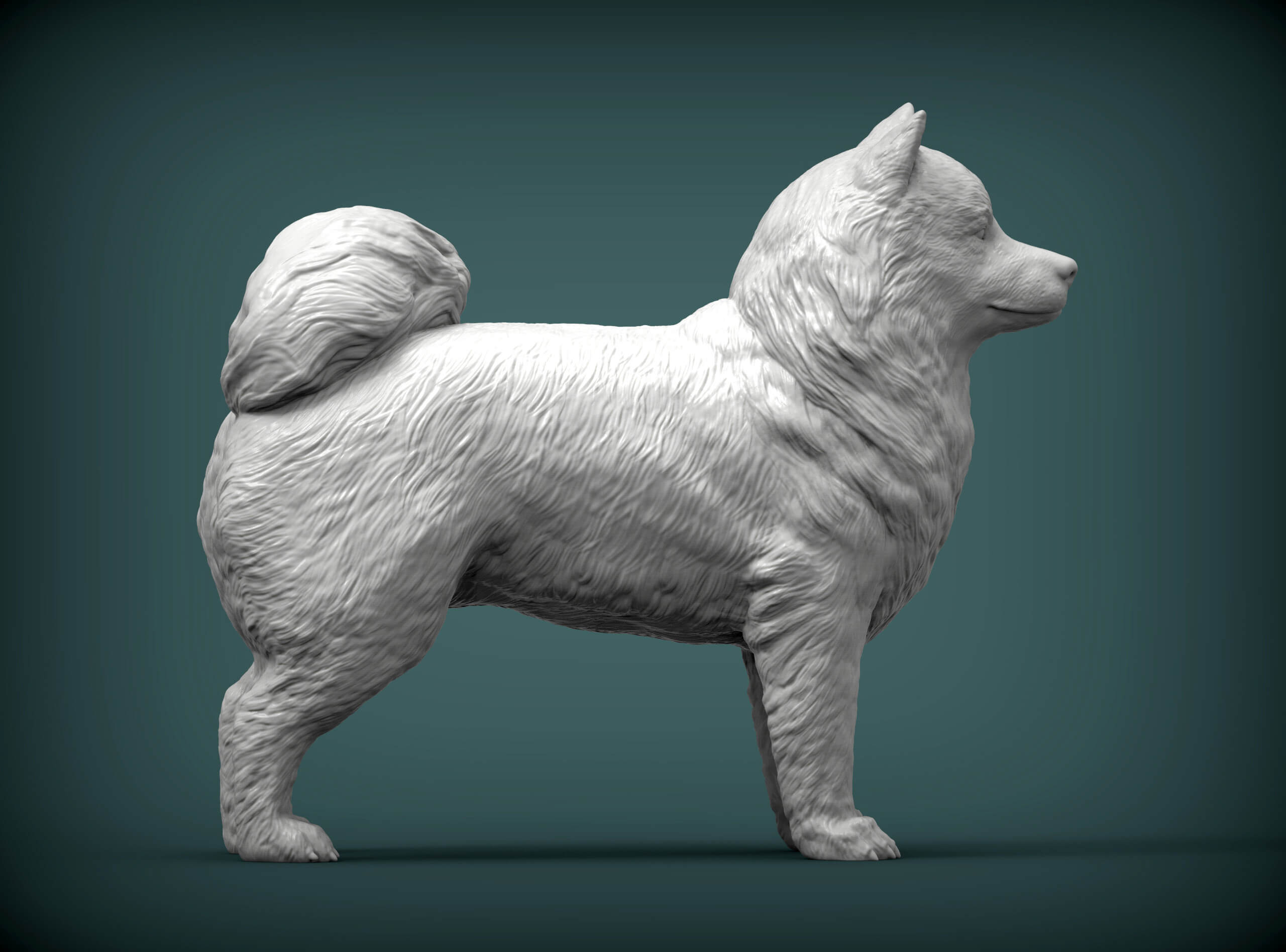 Samoyed Dog 3D Print Model by Alexander3dart