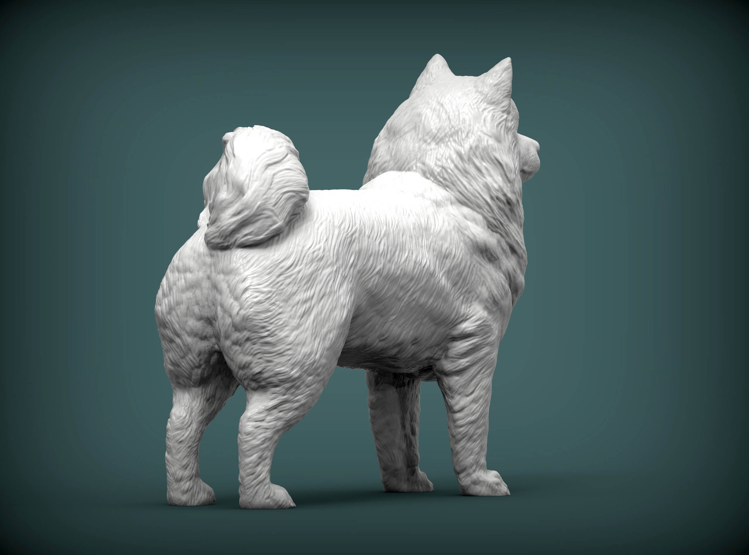 Samoyed Dog 3D Print Model by Alexander3dart