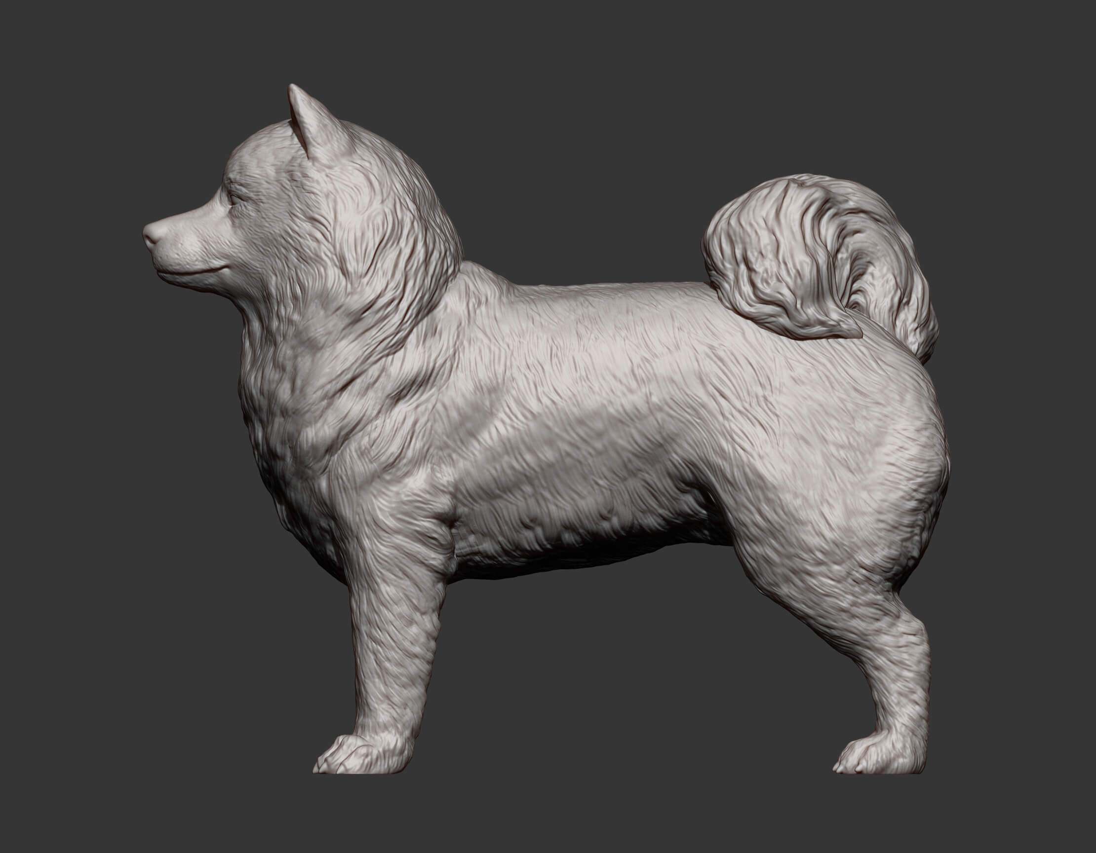 Samoyed Dog 3D Print Model by Alexander3dart