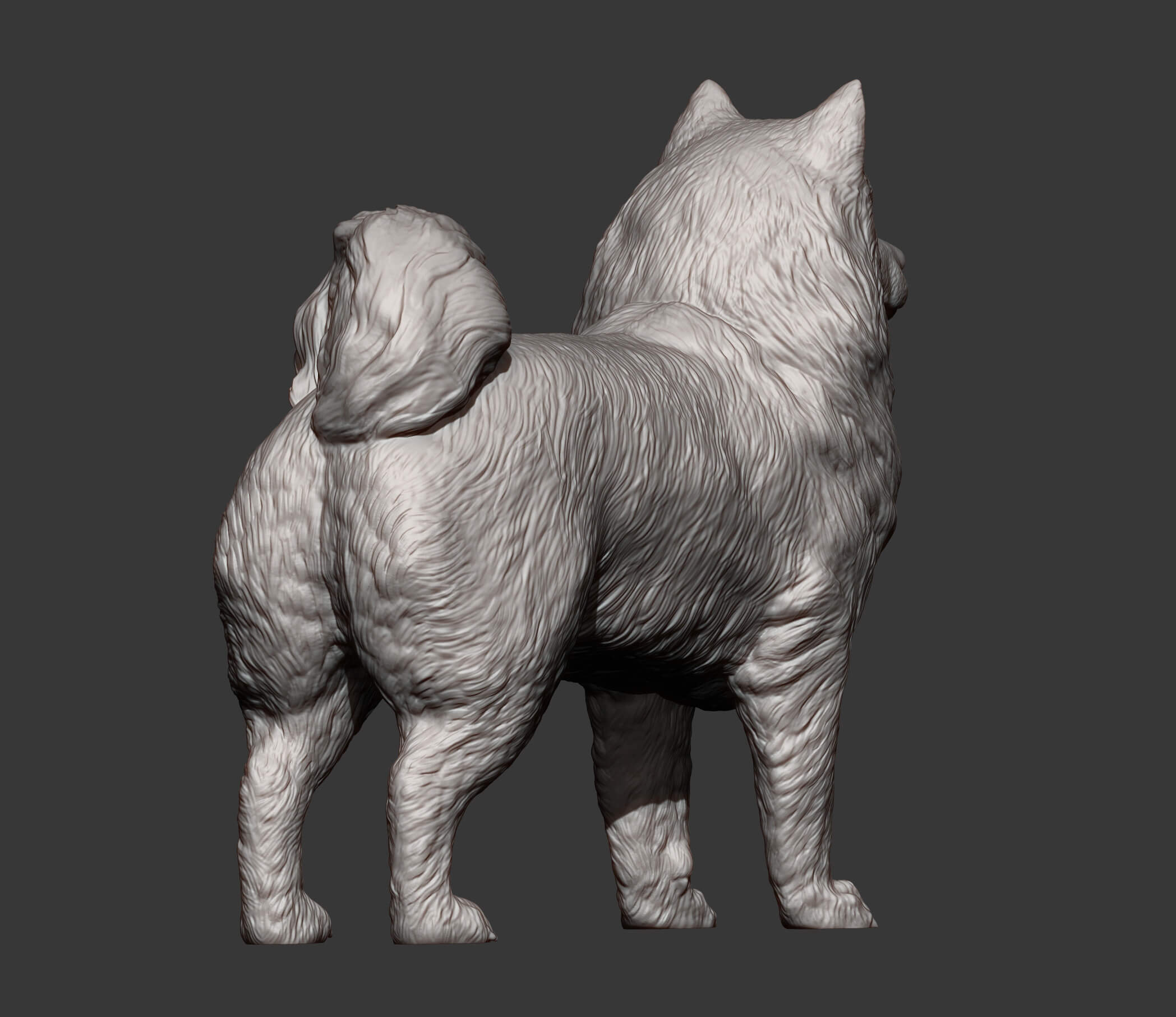 Samoyed Dog 3D Print Model by Alexander3dart