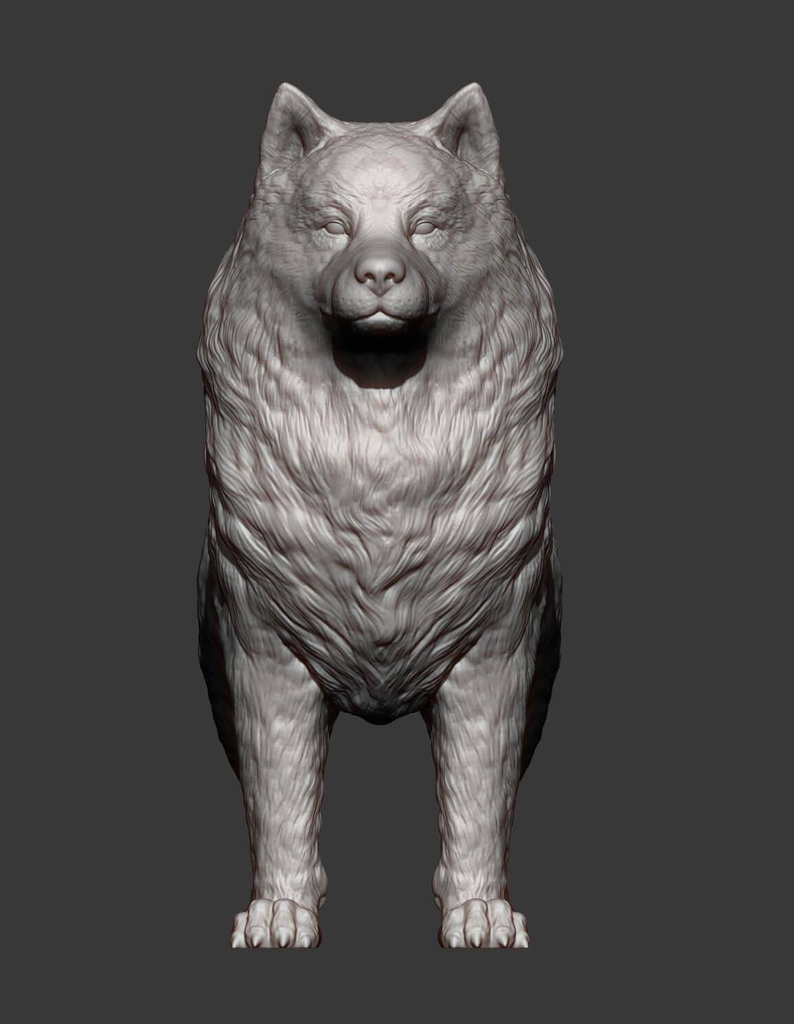 Samoyed Dog 3D Print Model by Alexander3dart
