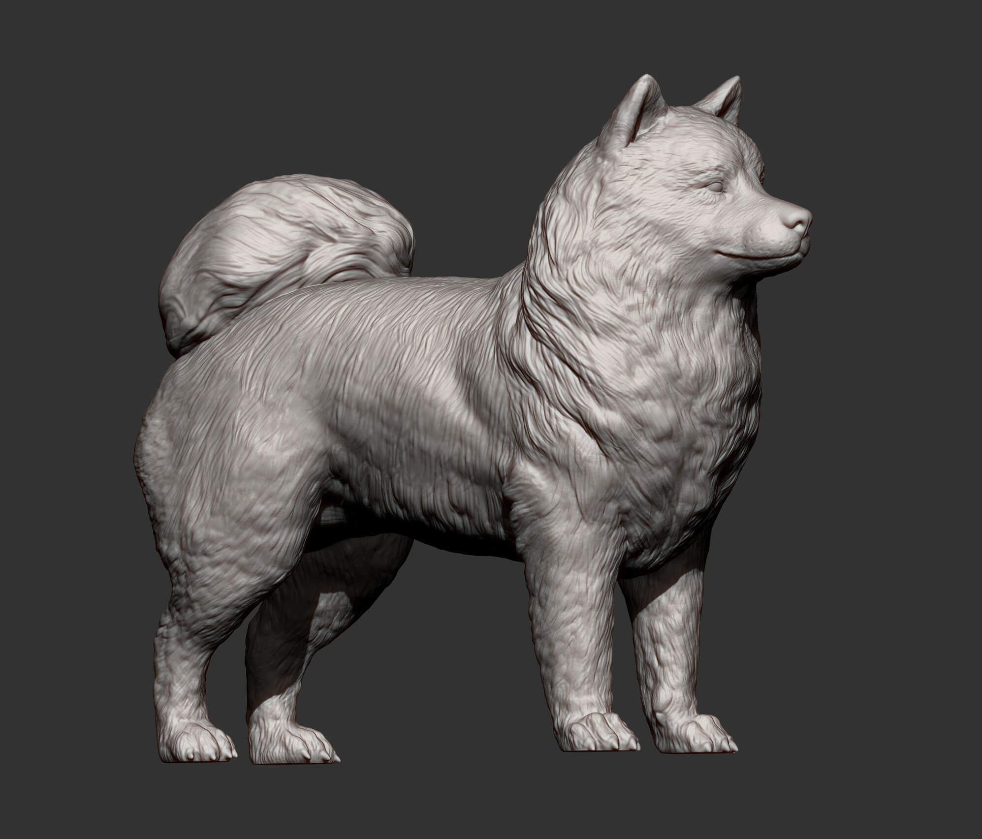 Samoyed Dog 3D Print Model by Alexander3dart