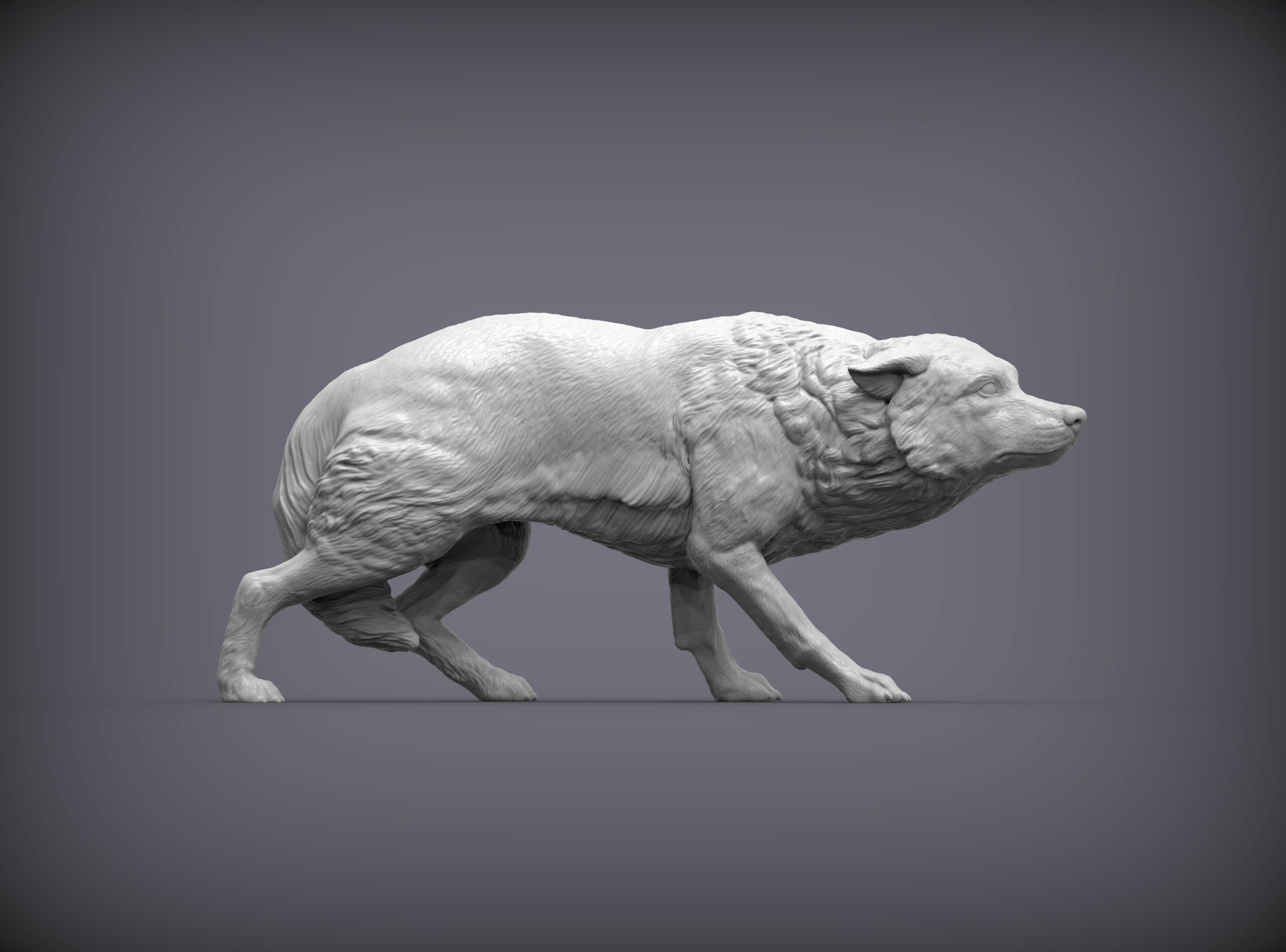 Scared Wolf 3D Print Model by Alexander3dart