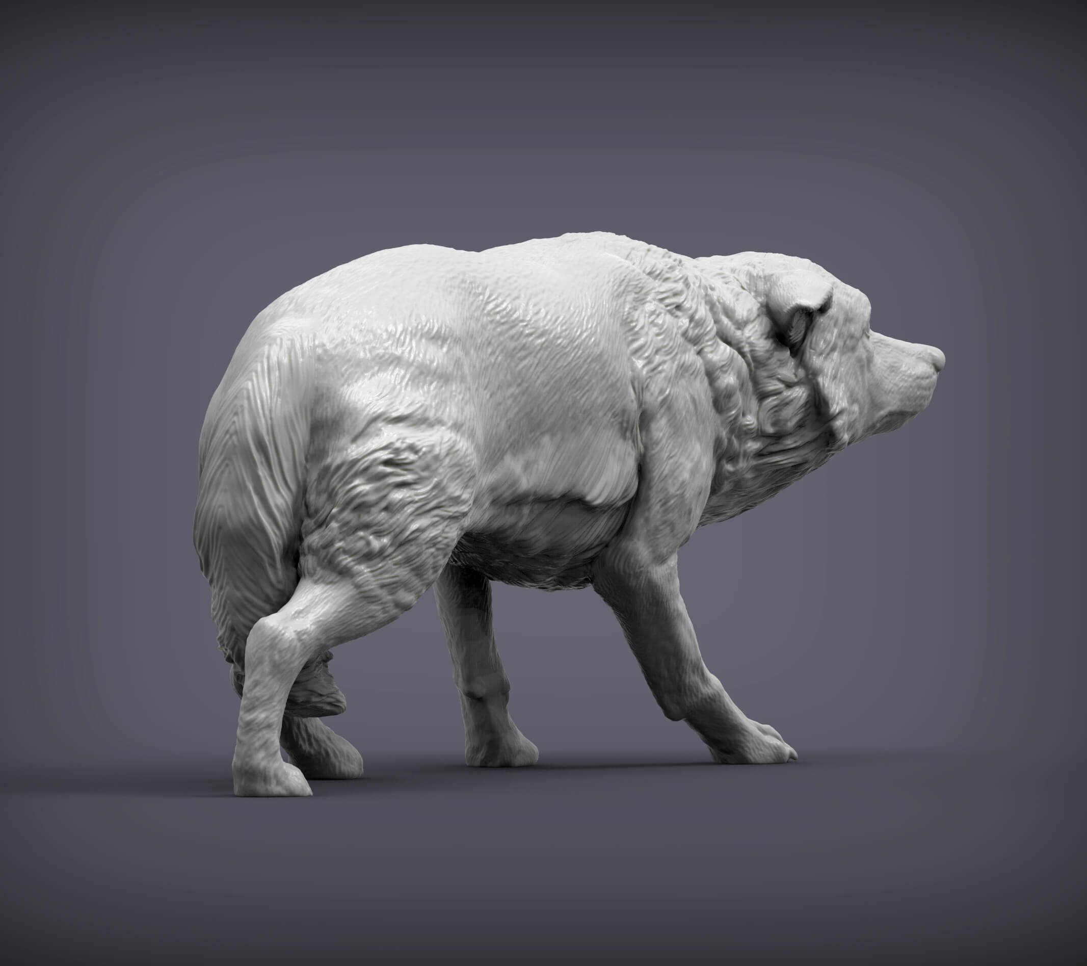 Scared Wolf 3D Print Model by Alexander3dart
