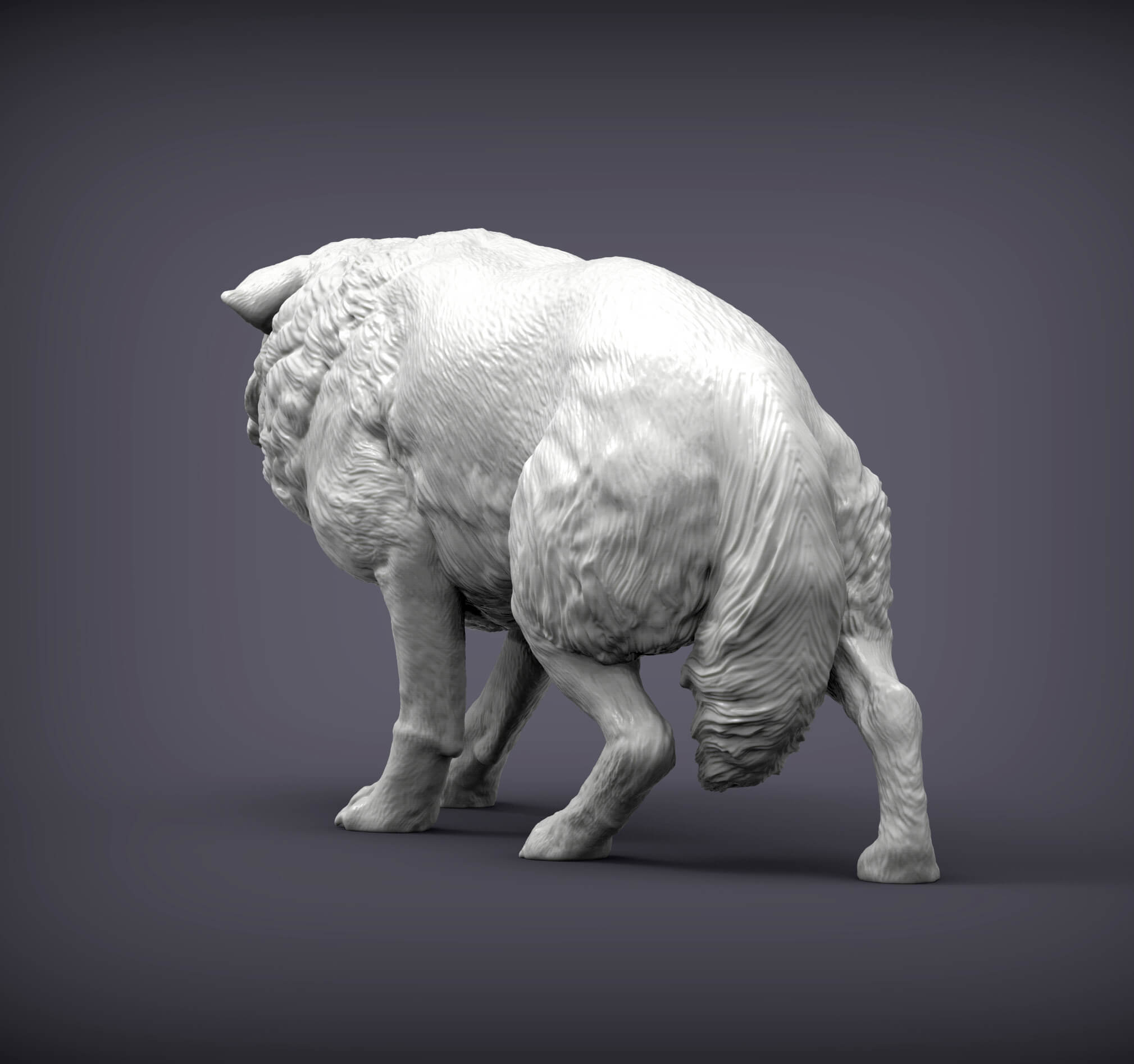 Scared Wolf 3D Print Model by Alexander3dart
