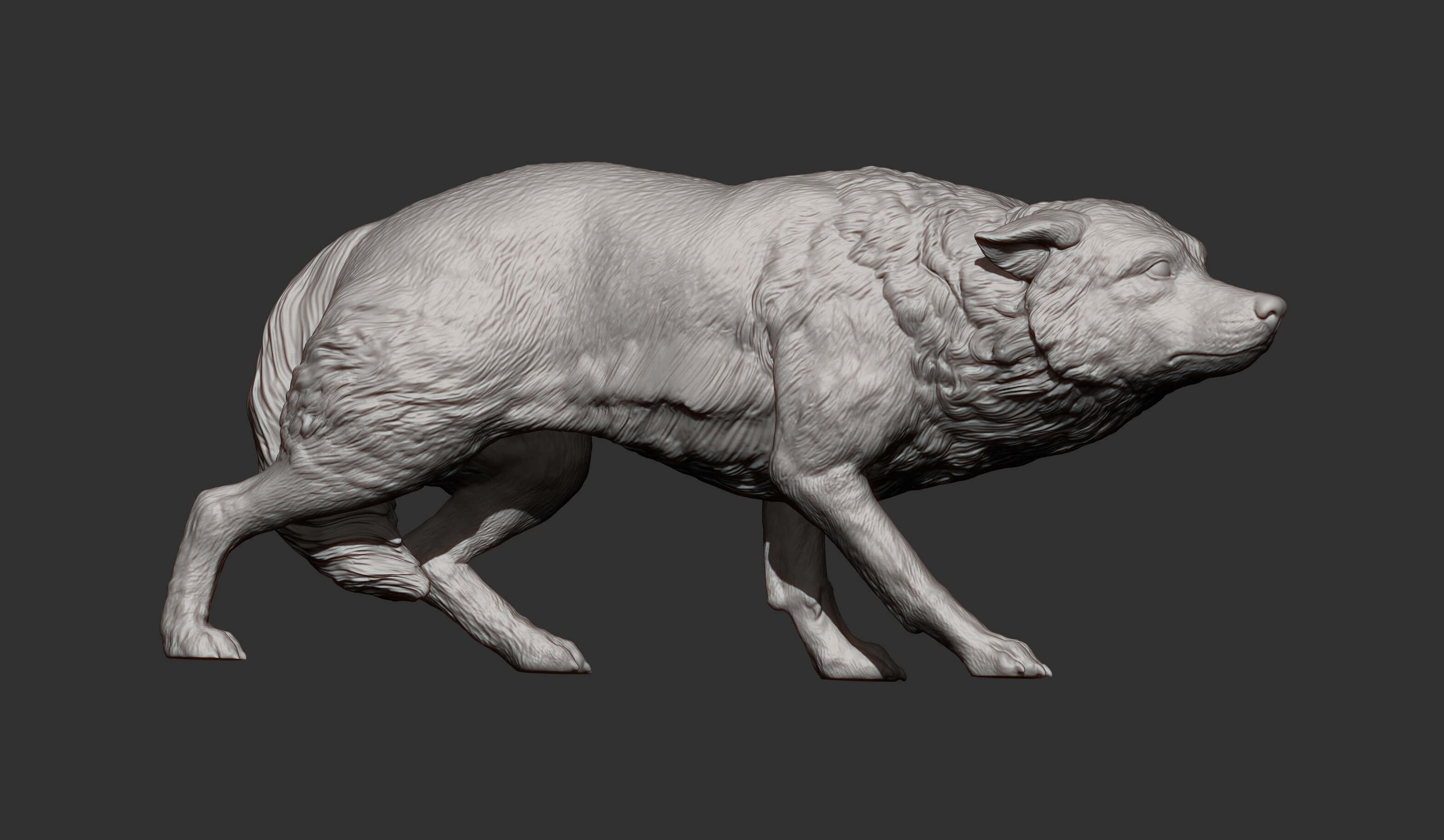 Scared Wolf 3D Print Model by Alexander3dart