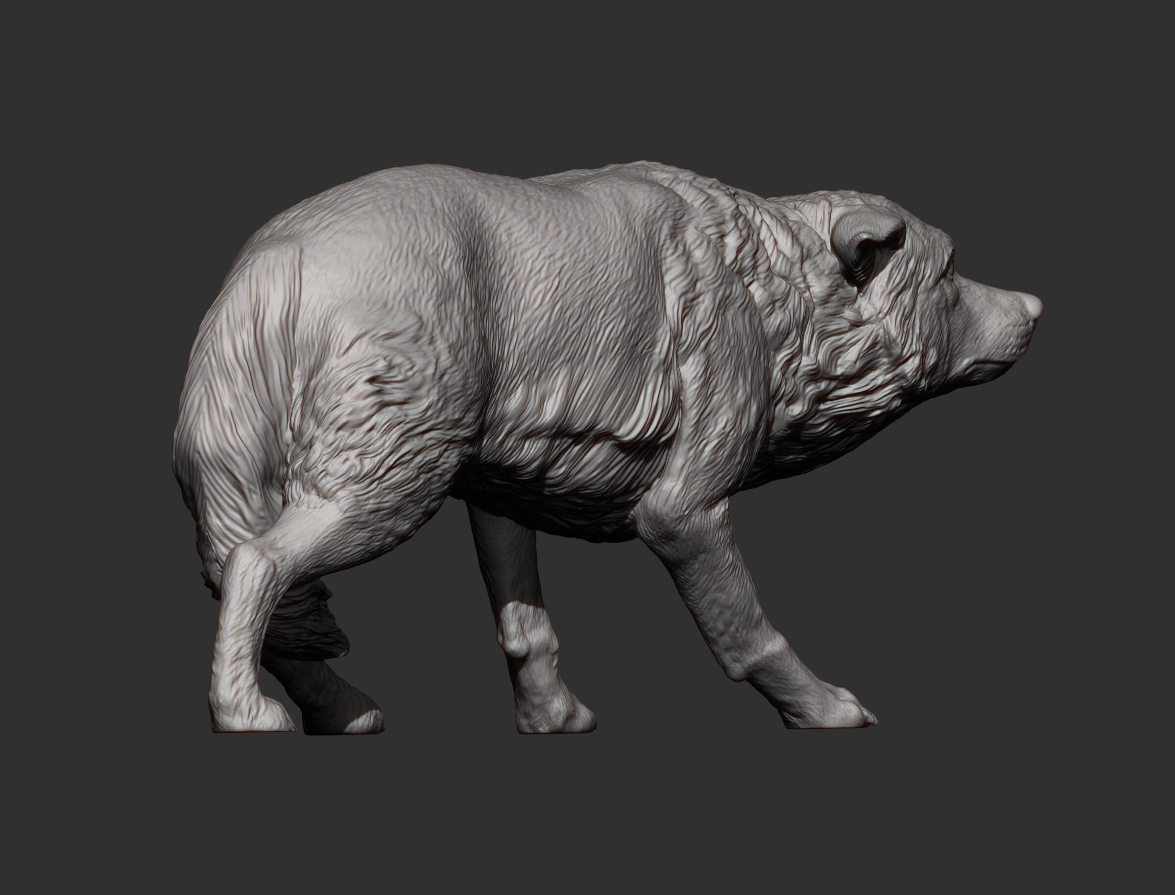 Scared Wolf 3D Print Model by Alexander3dart