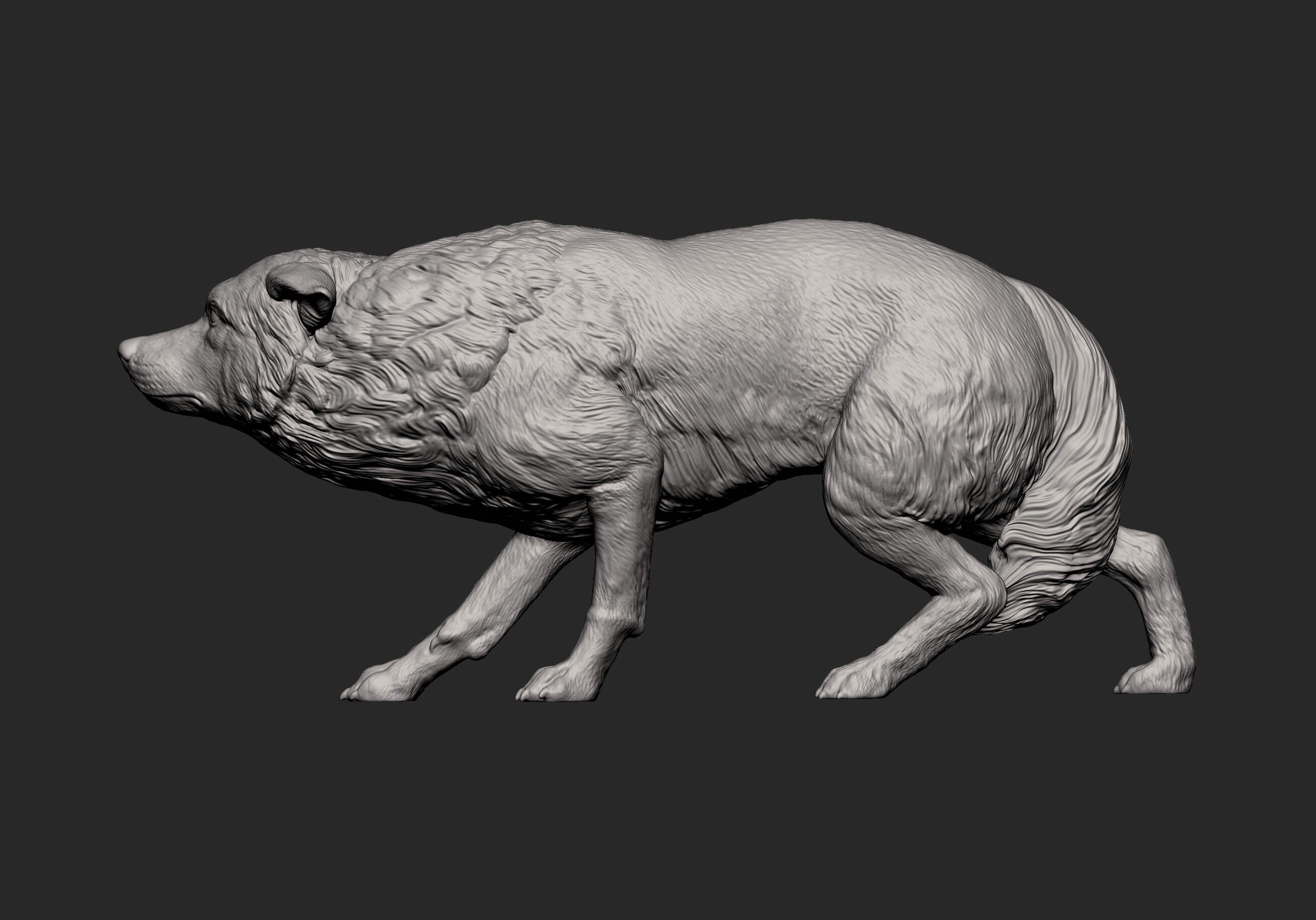 Scared Wolf 3D Print Model by Alexander3dart