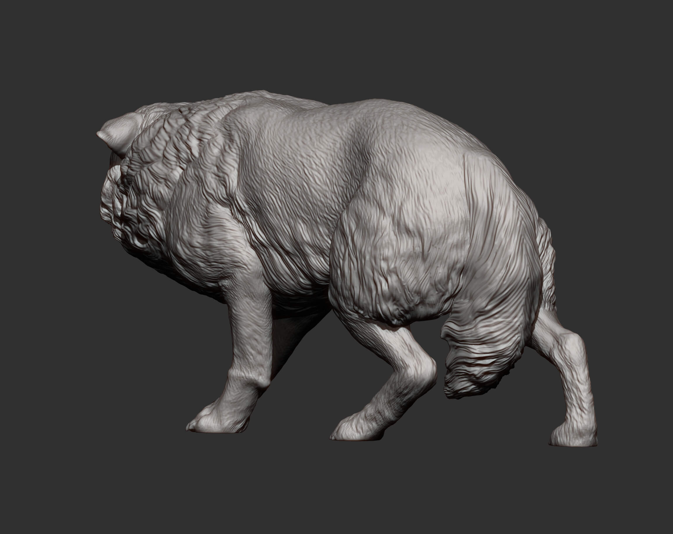 Scared Wolf 3D Print Model by Alexander3dart