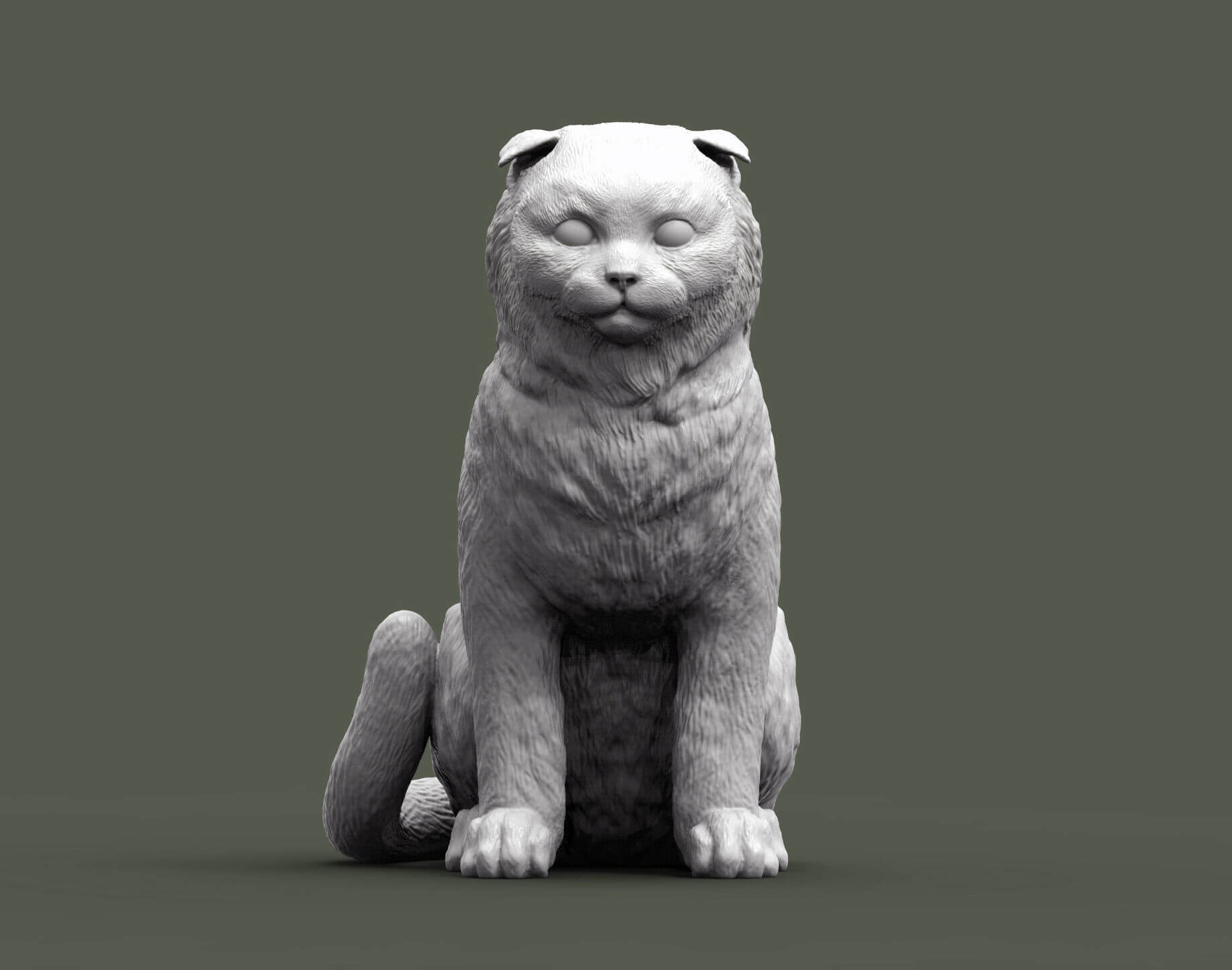 Scottish Fold Cat 3D Print Model by Alexander3dart