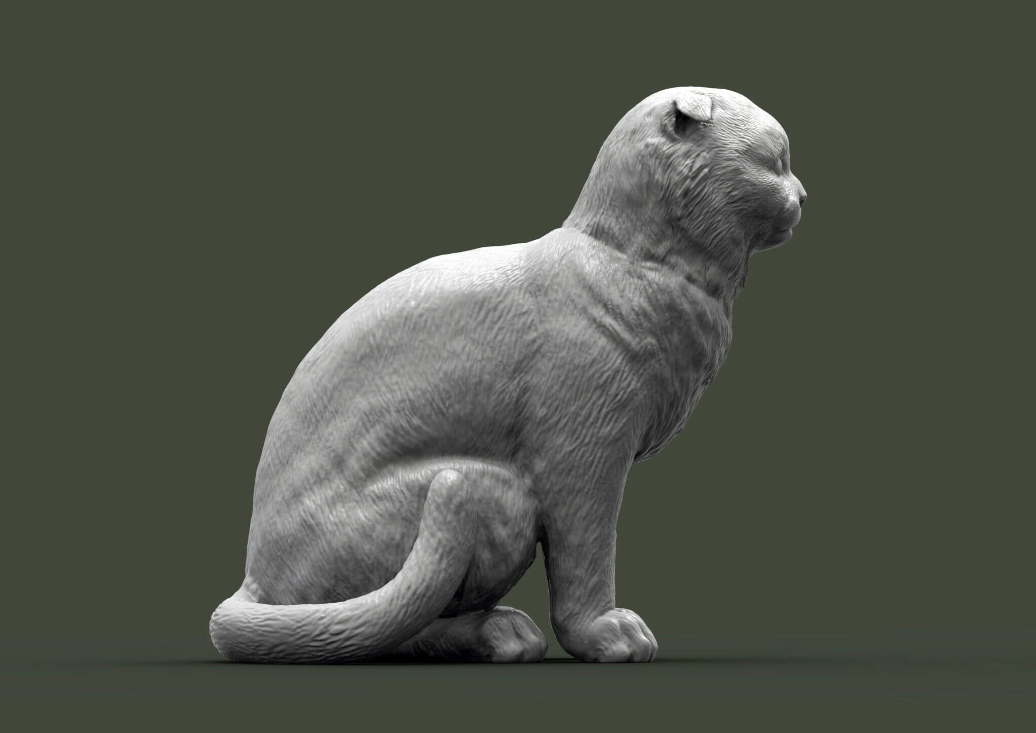 Scottish Fold Cat 3D Print Model by Alexander3dart