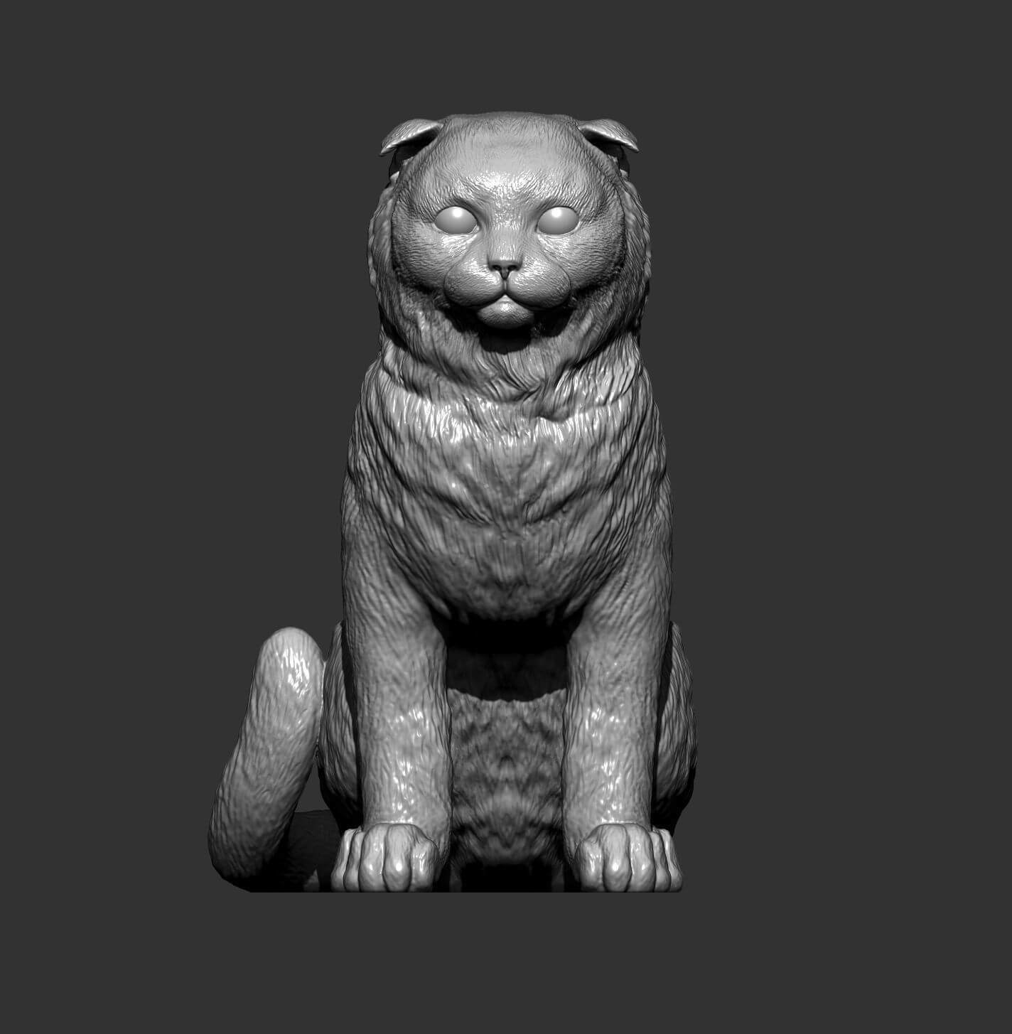Scottish Fold Cat 3D Print Model by Alexander3dart