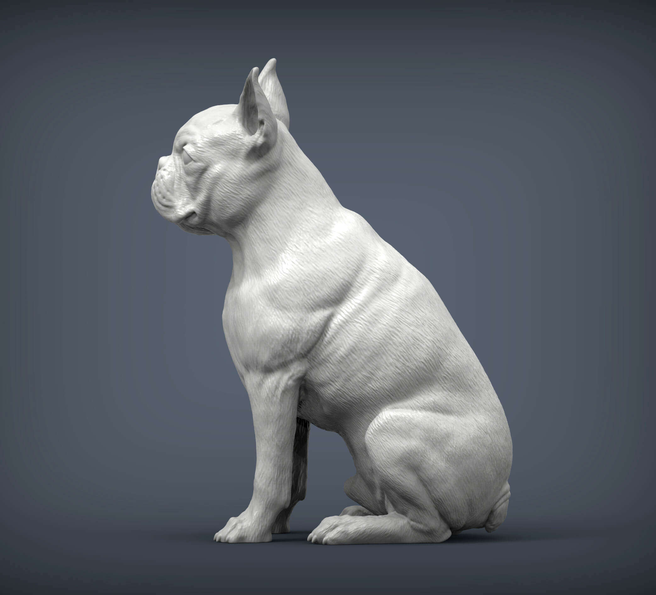 Boston Terrier 3D Print Model by Alexander3dart