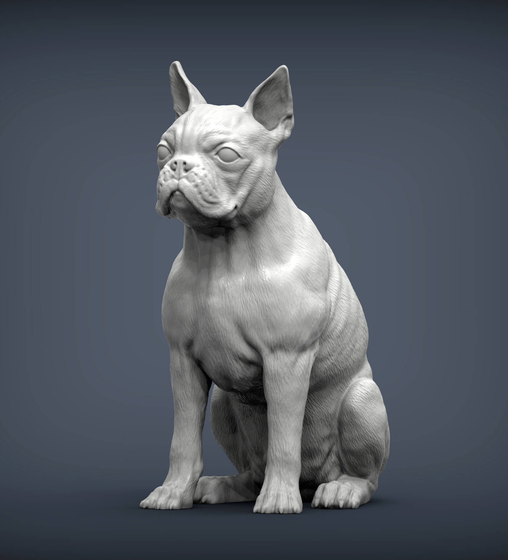Boston Terrier 3D Print Model by Alexander3dart