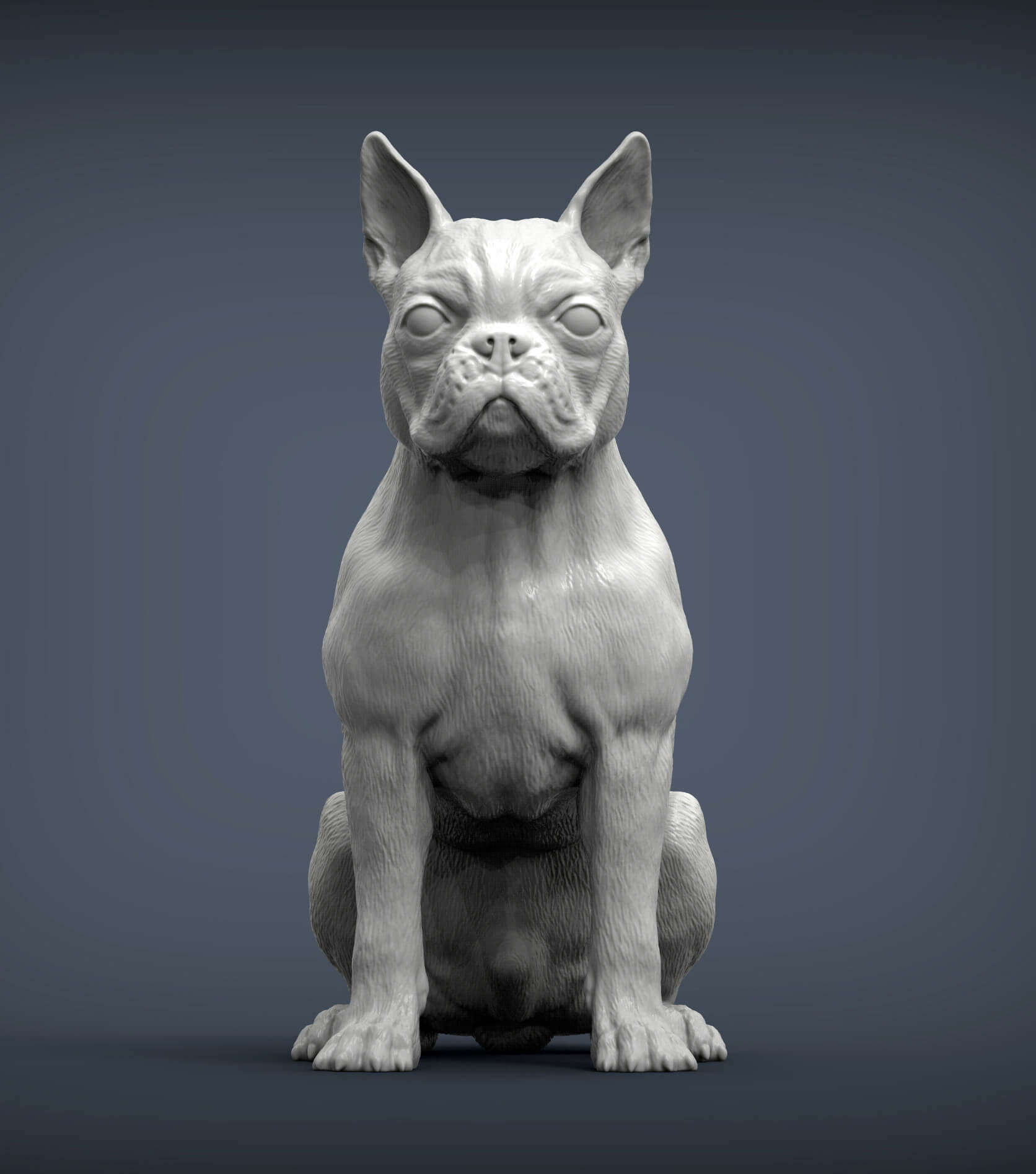 Boston Terrier 3D Print Model by Alexander3dart