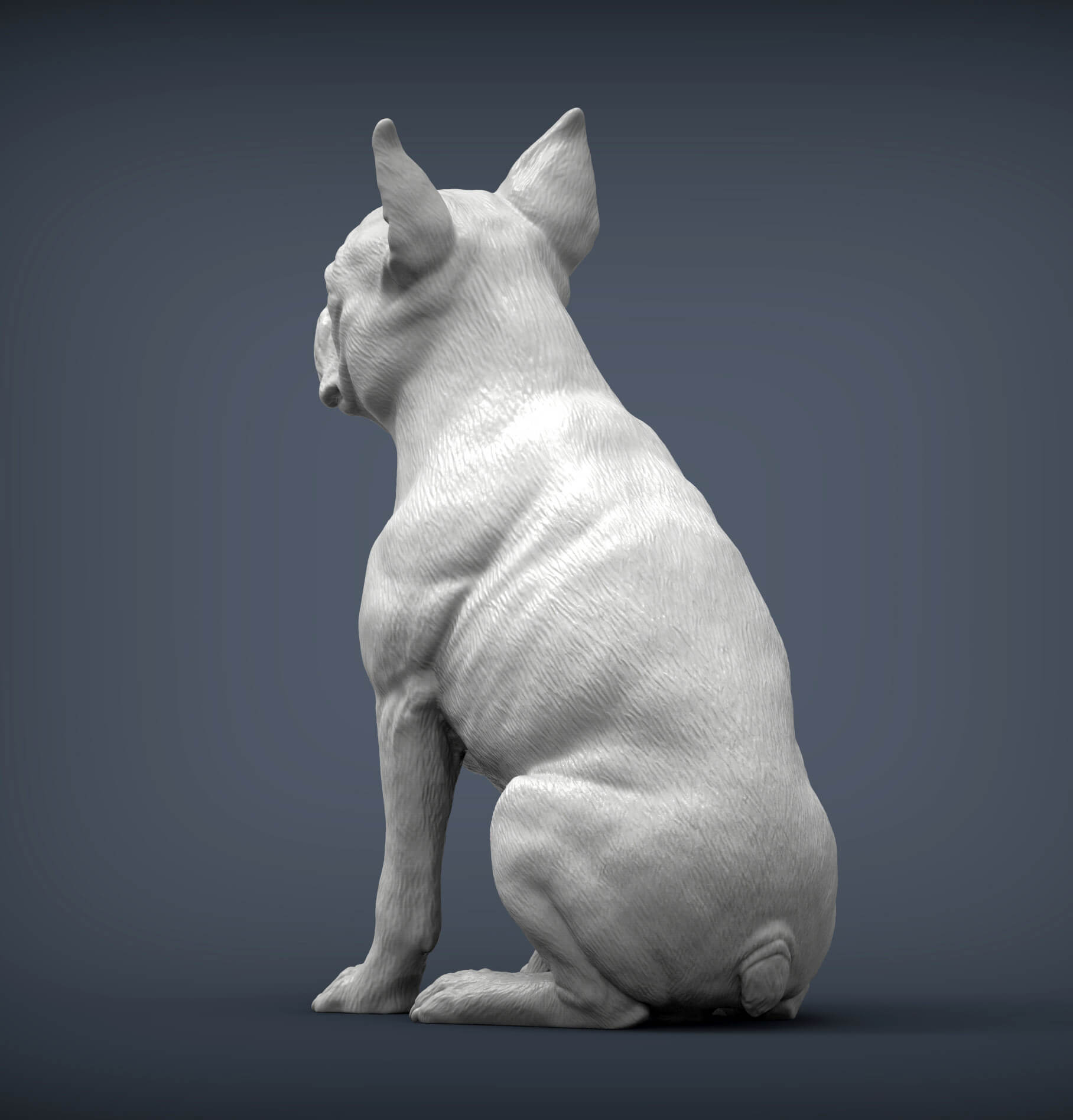 Boston Terrier 3D Print Model by Alexander3dart