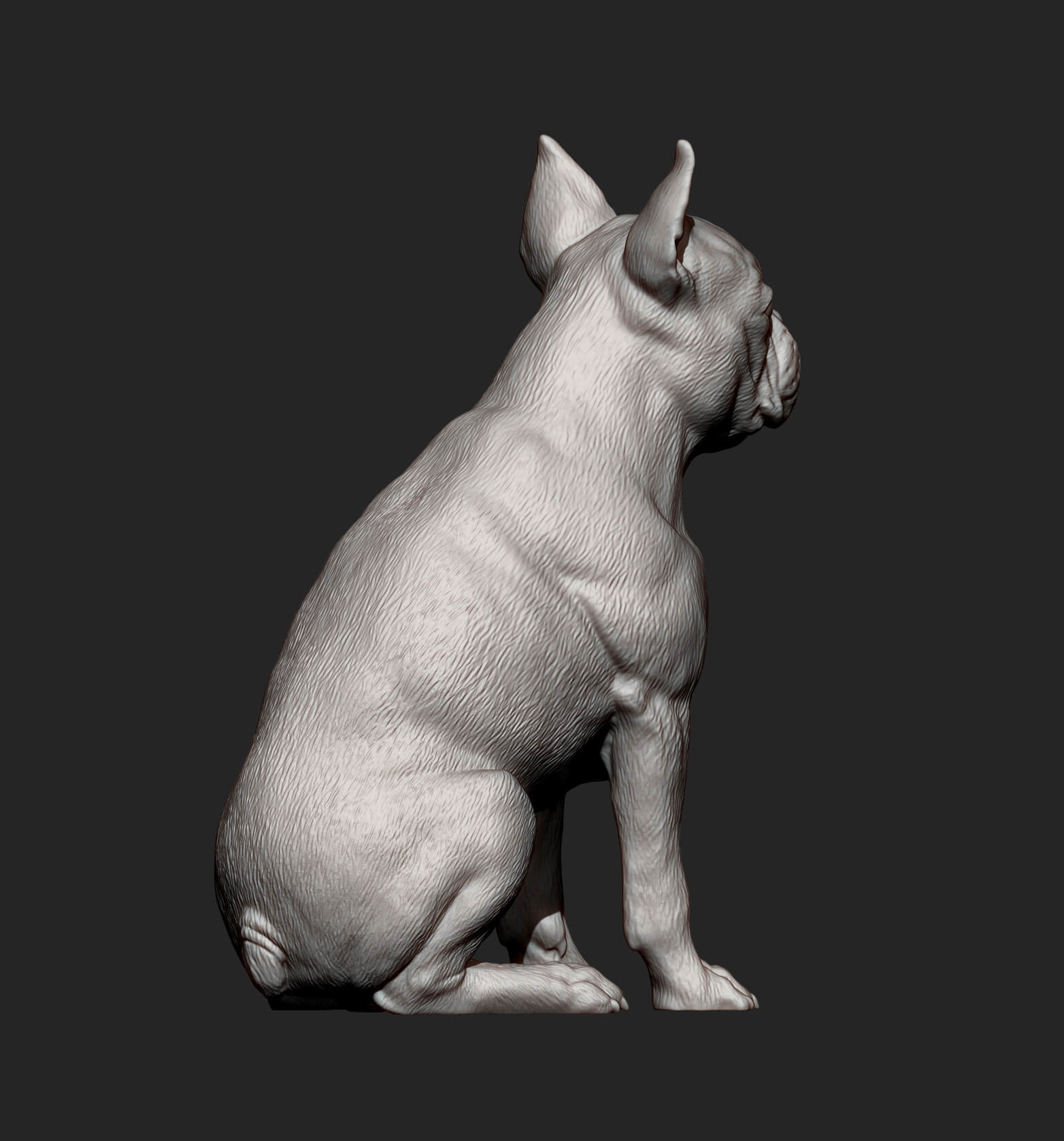 Boston Terrier 3D Print Model by Alexander3dart