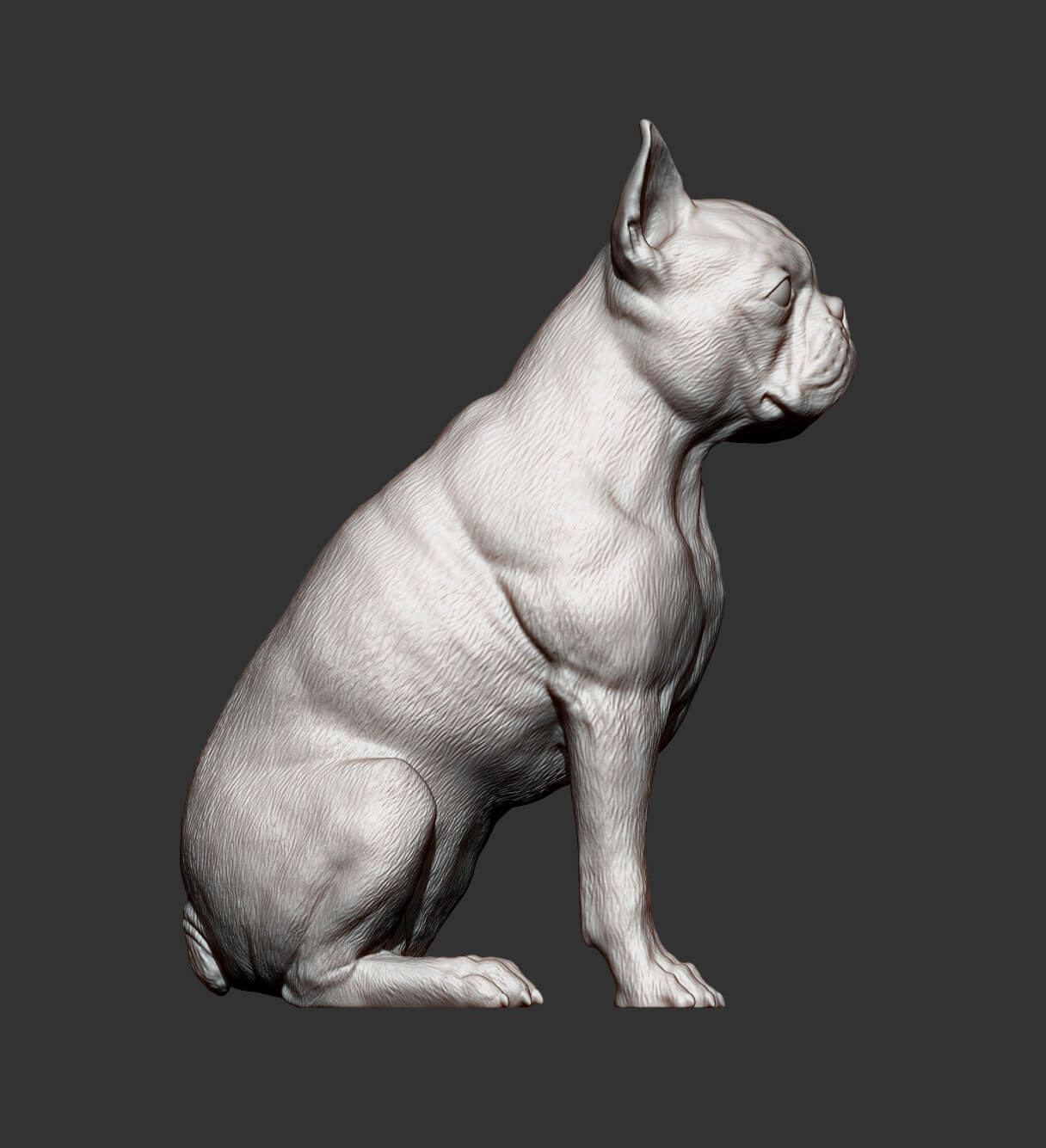 Boston Terrier 3D Print Model by Alexander3dart
