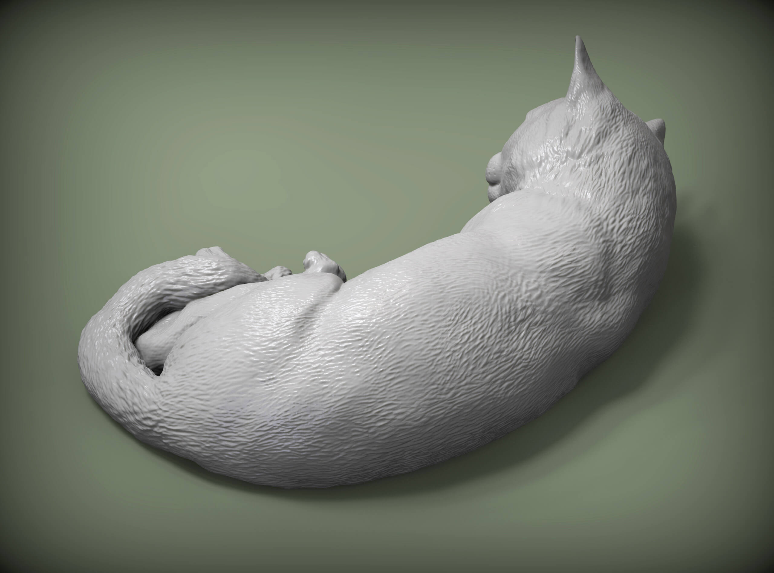 Sleeping Cat - 3D Model by Alexander3dart
