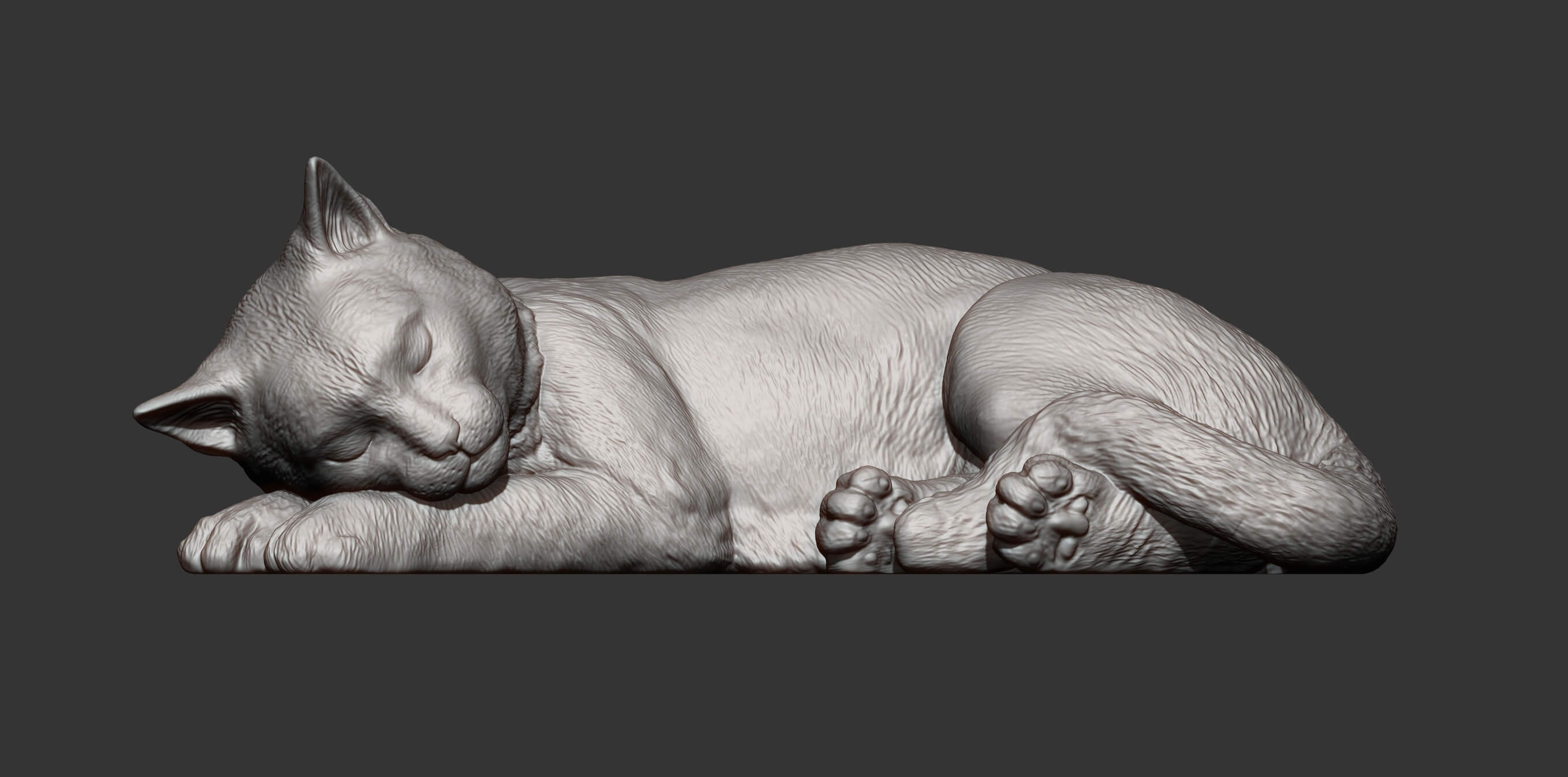 Sleeping Cat - 3D Model by Alexander3dart