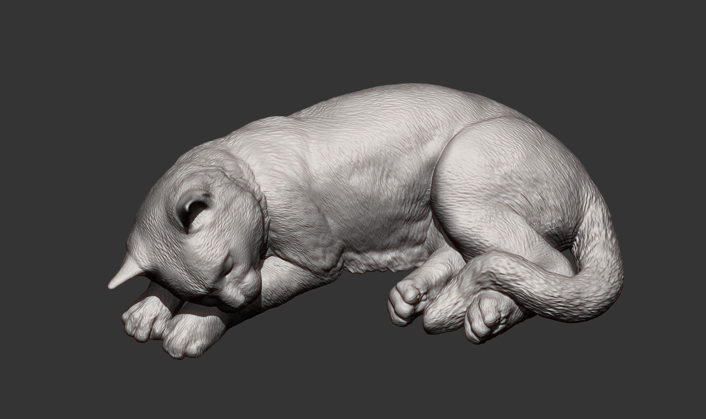 Sleeping Cat - 3D Model by Alexander3dart
