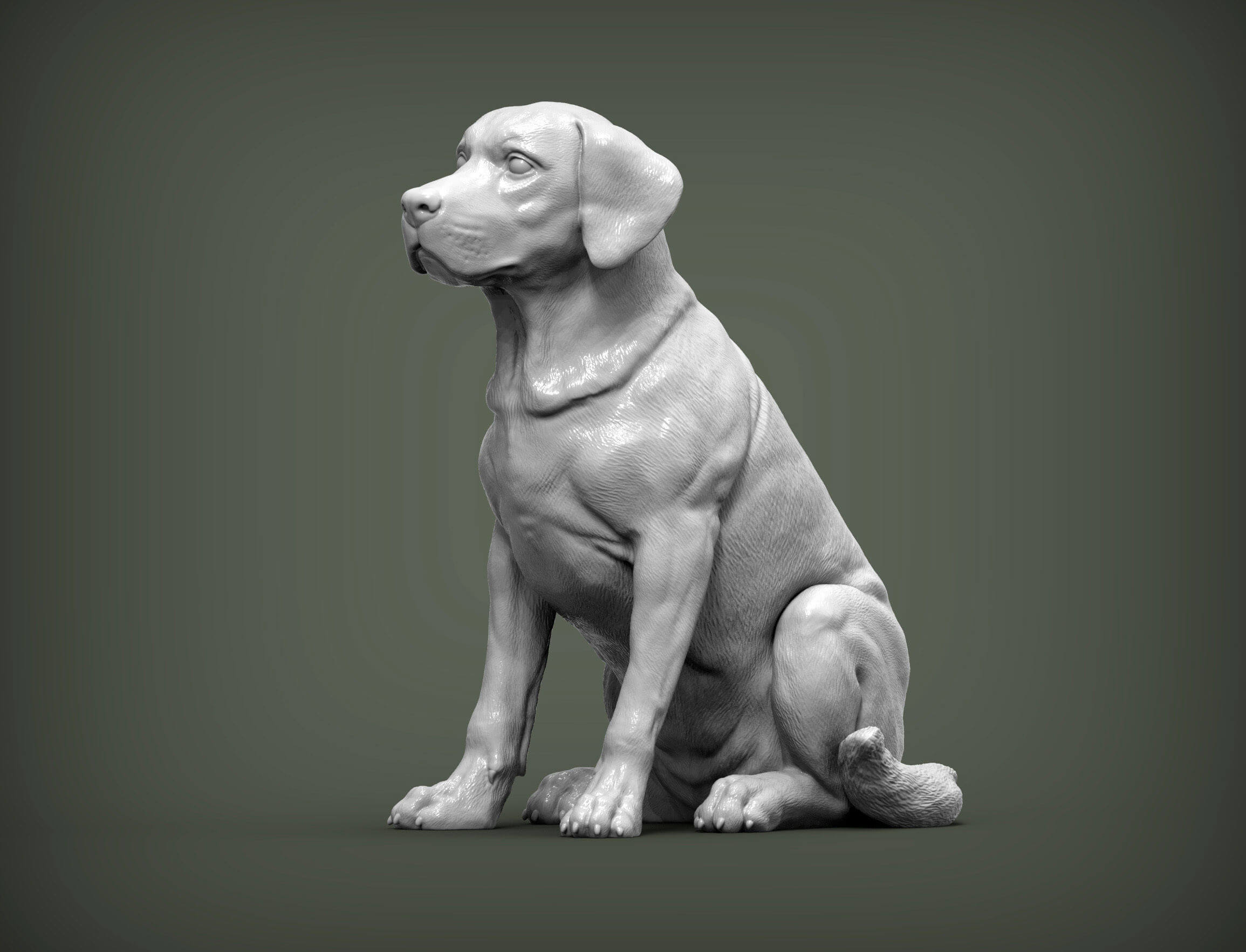 Sculpture Labrador - 3D Model by Alexander3dart