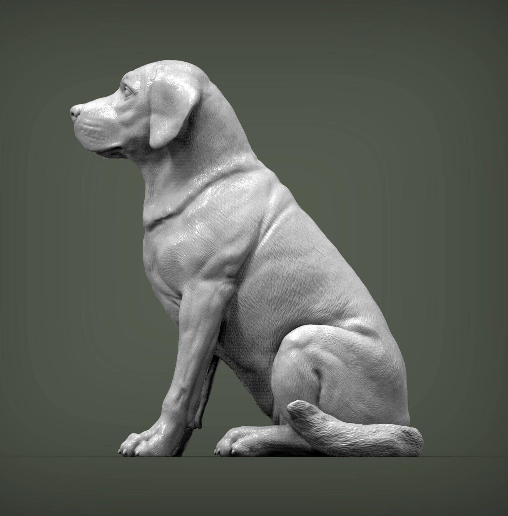 Sculpture Labrador - 3D Model by Alexander3dart