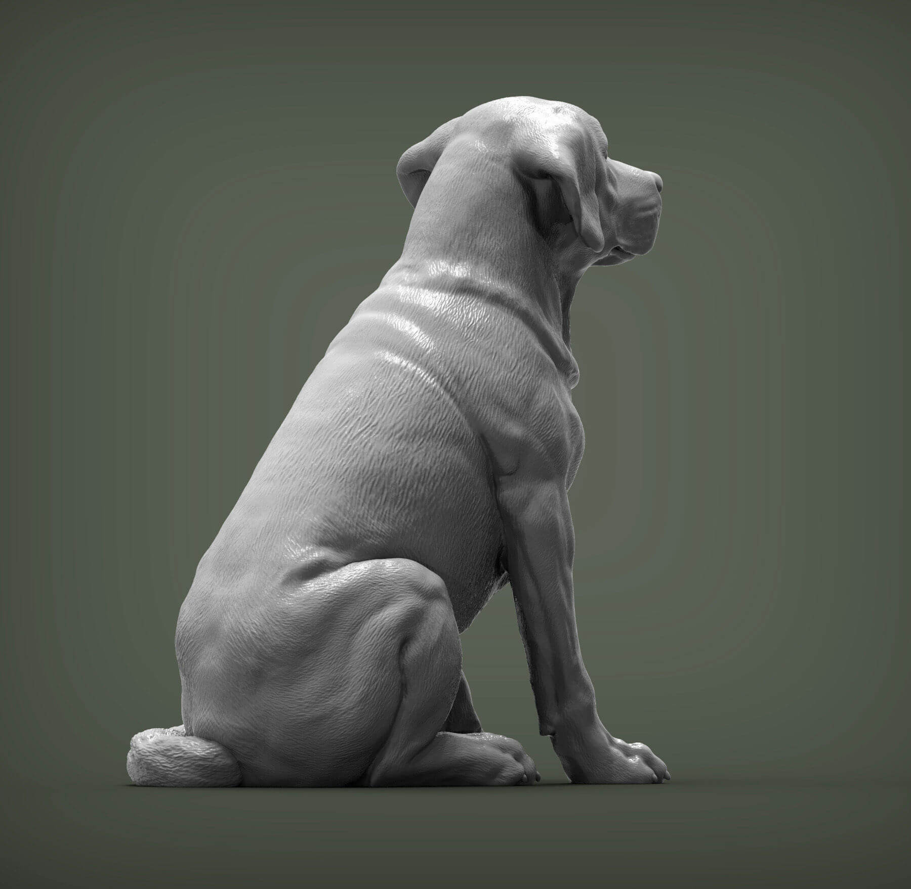 Sculpture Labrador - 3D Model by Alexander3dart