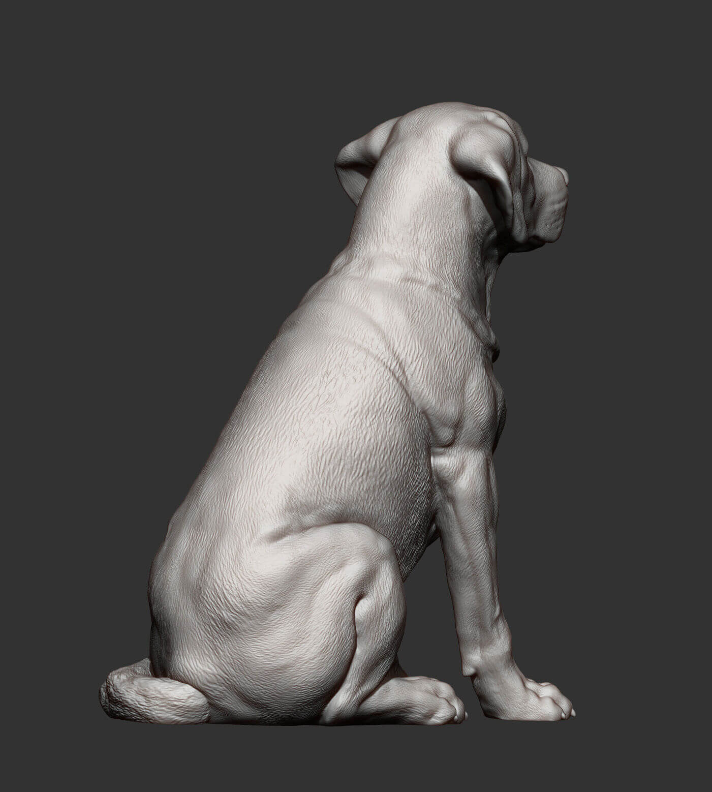 Sculpture Labrador - 3D Model by Alexander3dart