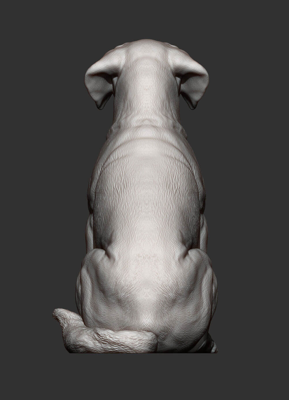 Sculpture Labrador - 3D Model by Alexander3dart