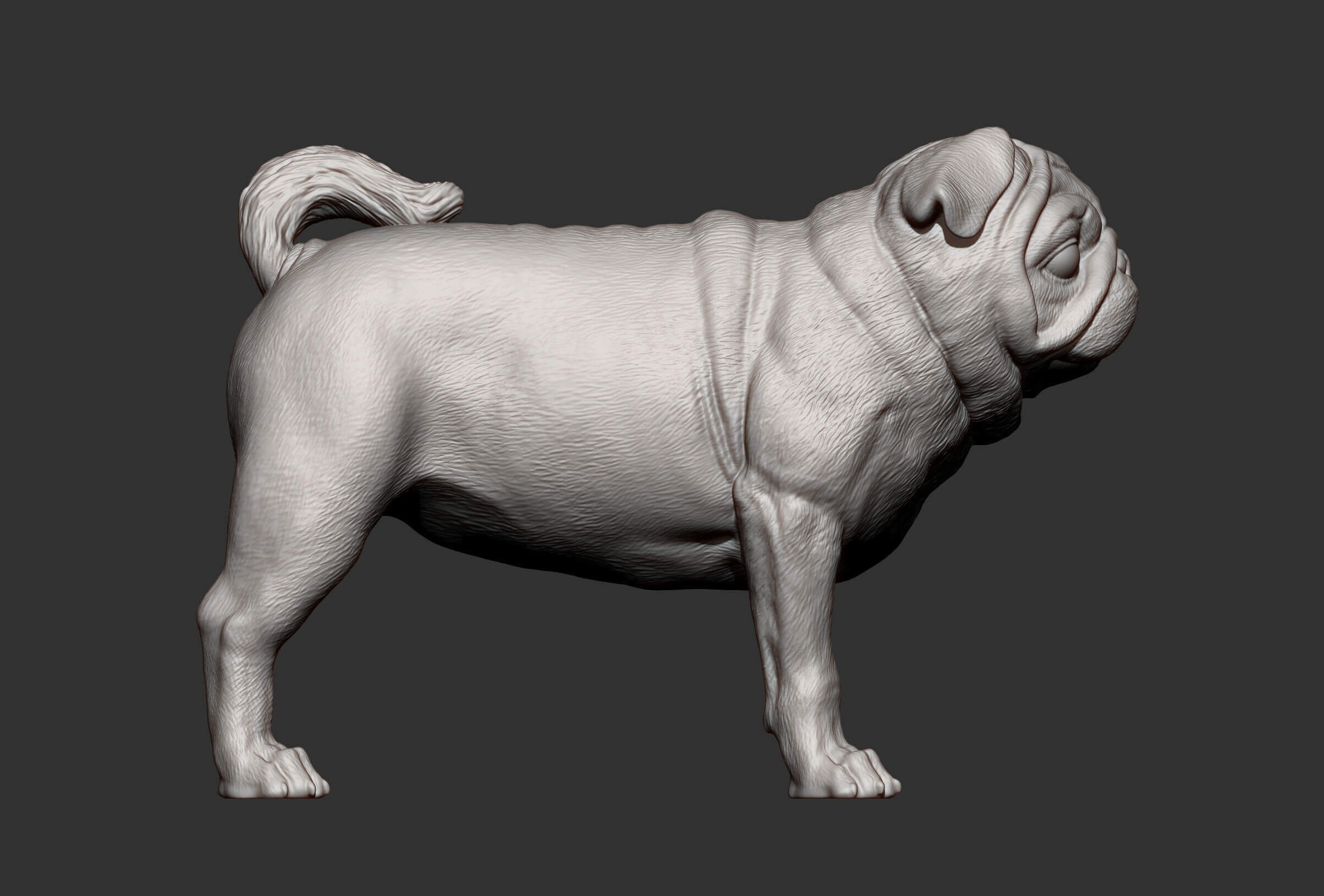 Sculpture Pug - 3D Model by Alexander3dart