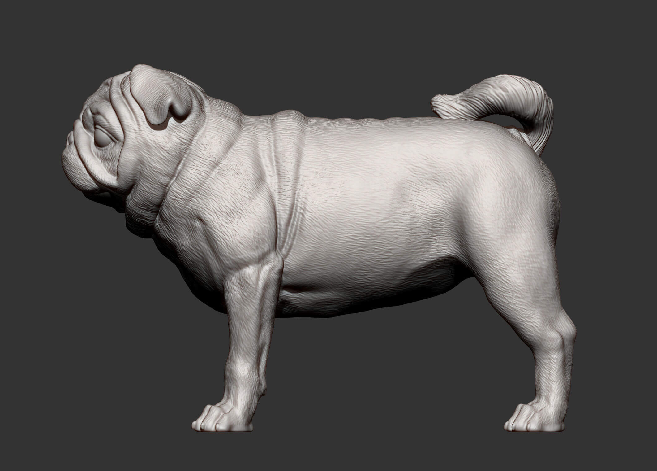 Sculpture Pug - 3D Model by Alexander3dart