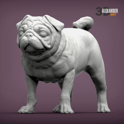 Sculpture Pug - 3D Model by Alexander3dart