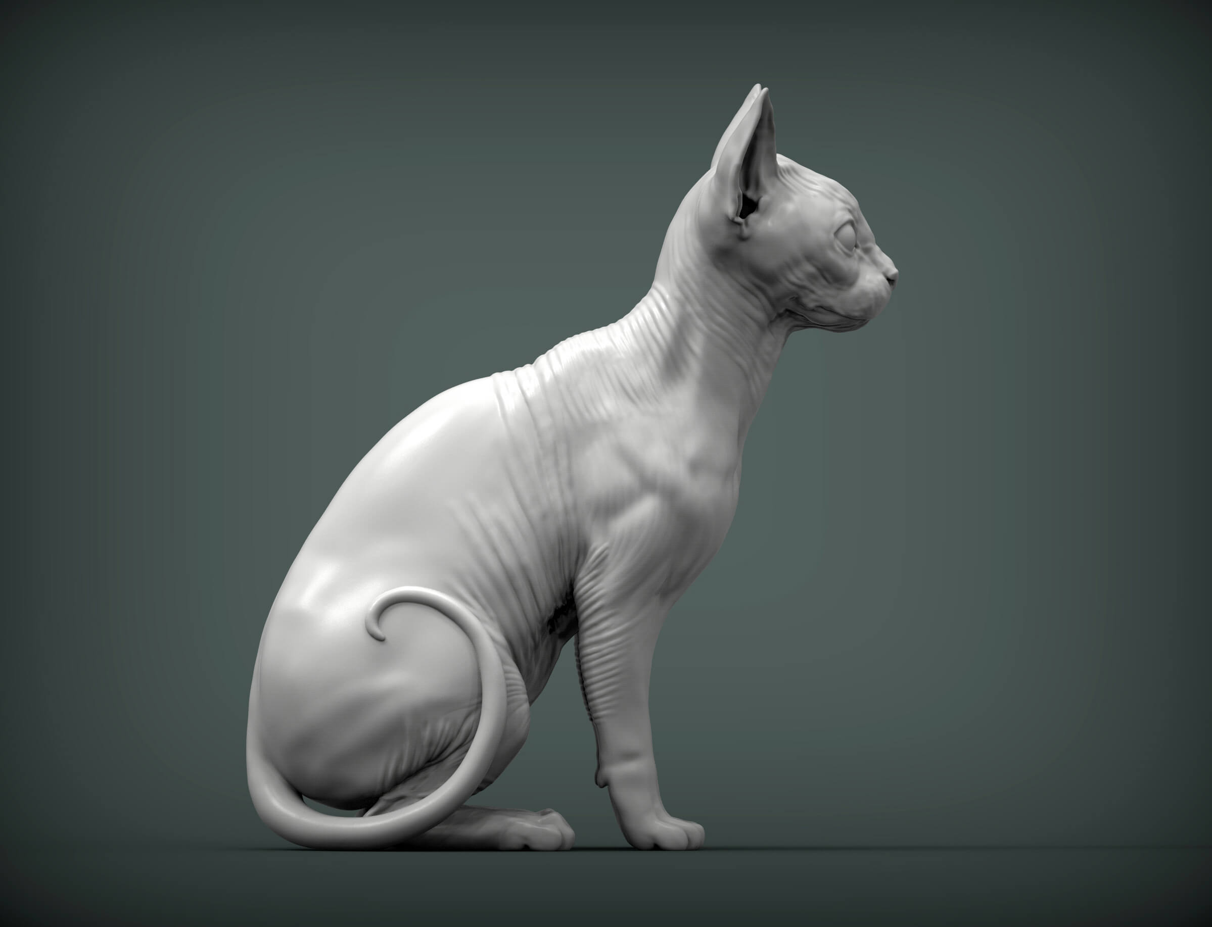 Sculpture Sphinx Cat - 3D Model by Alexander3dart