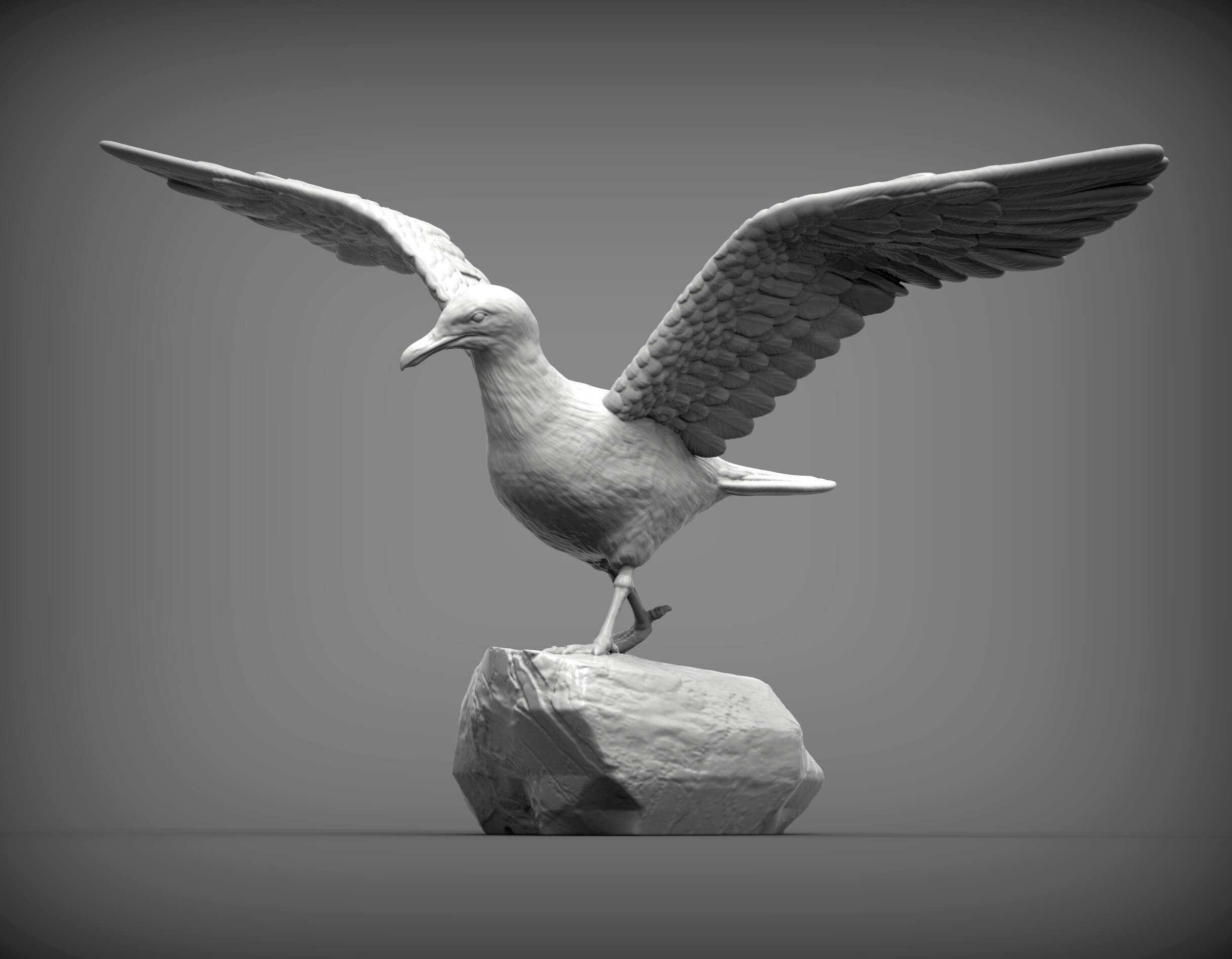 Seagull on The Stone 3D Print Model by Alexander3dart
