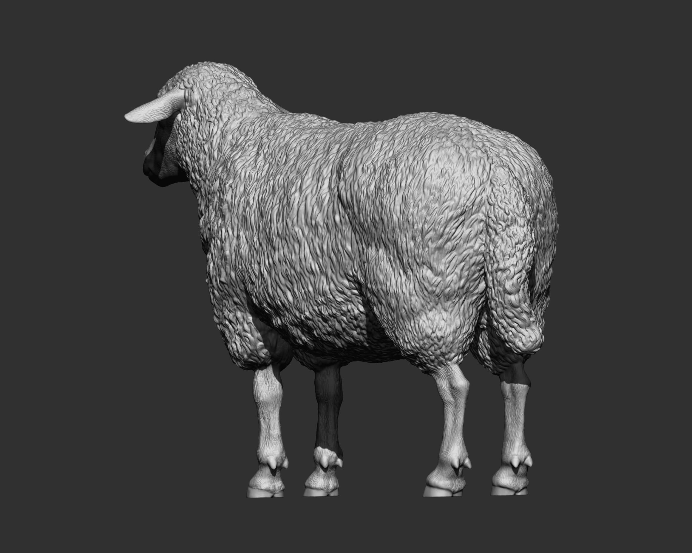 Sheep 3D Print Model by Alexander3dart