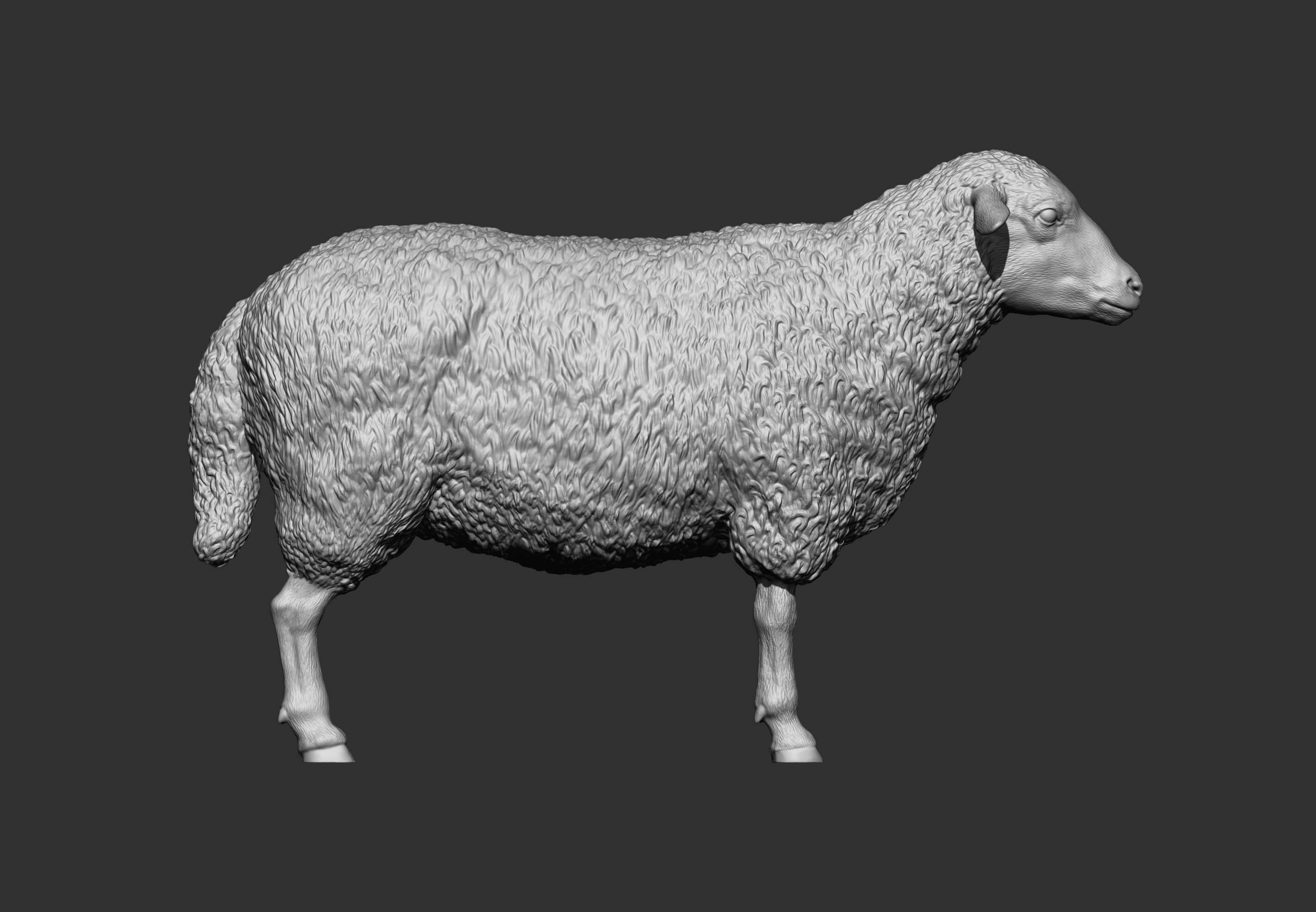 Sheep 3D Print Model by Alexander3dart