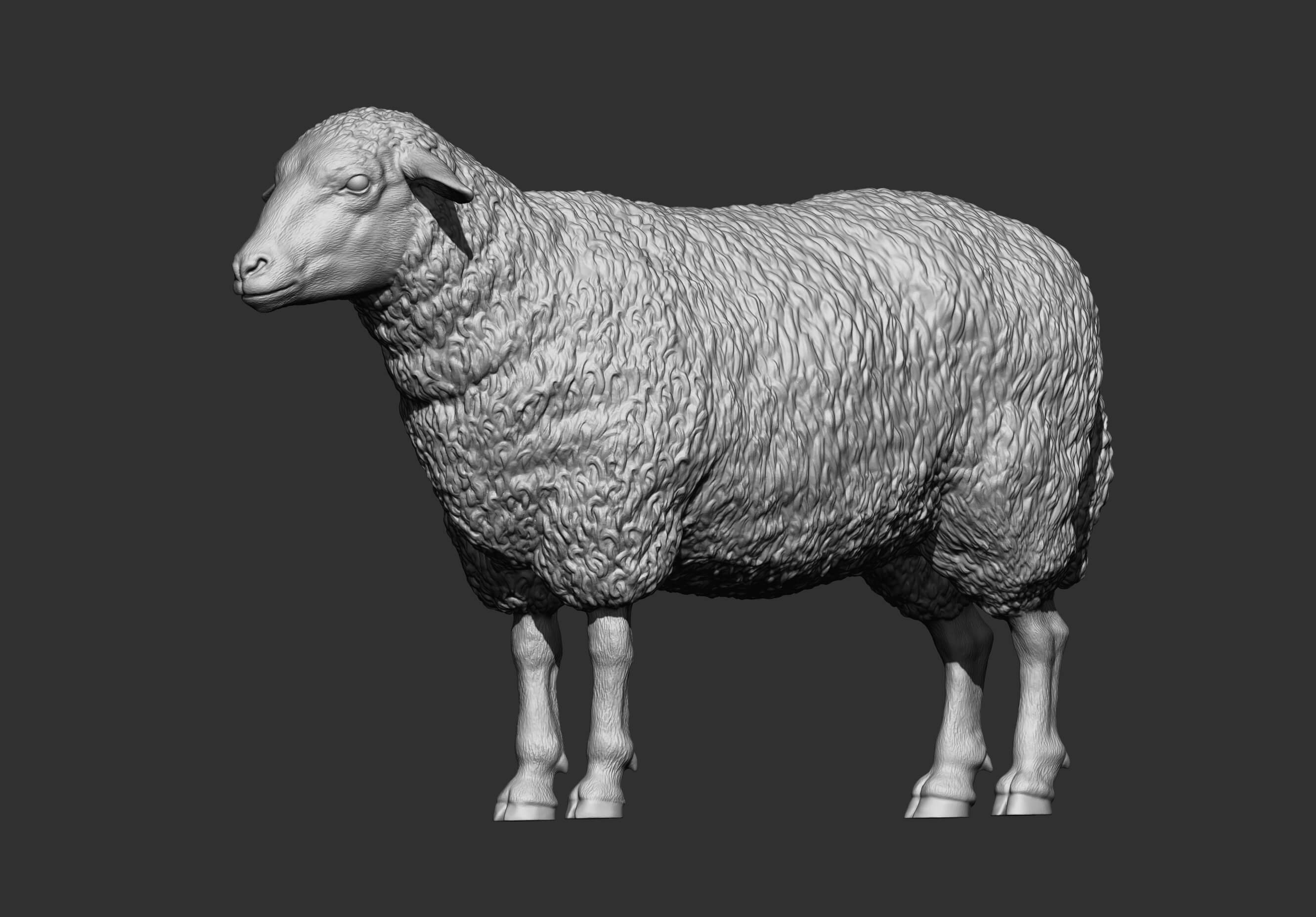Sheep 3D Print Model by Alexander3dart