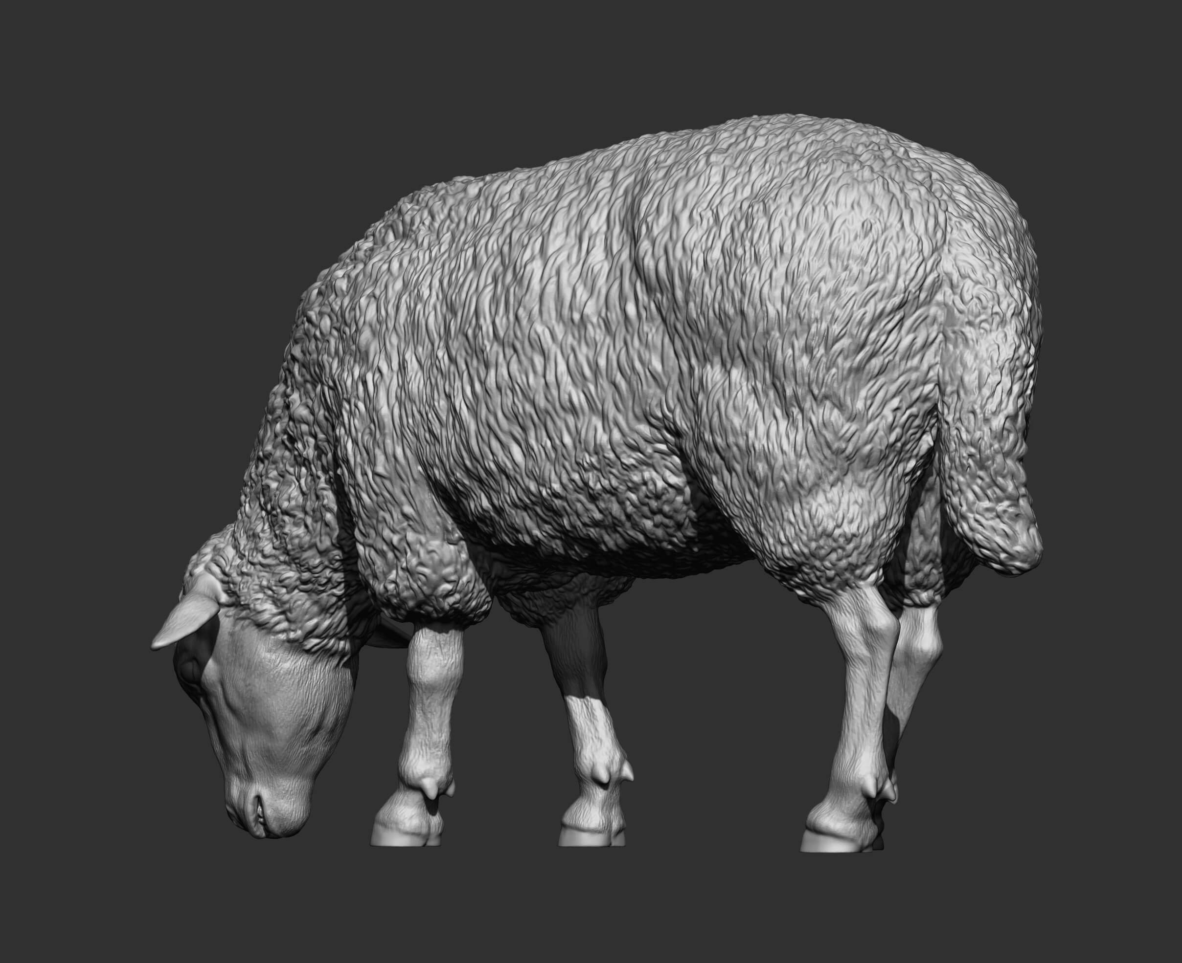 Sheep Eat 3D Print Model by Alexander3dart