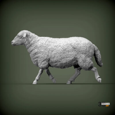 Sheep Is Running - 3D Model by Alexander3dart