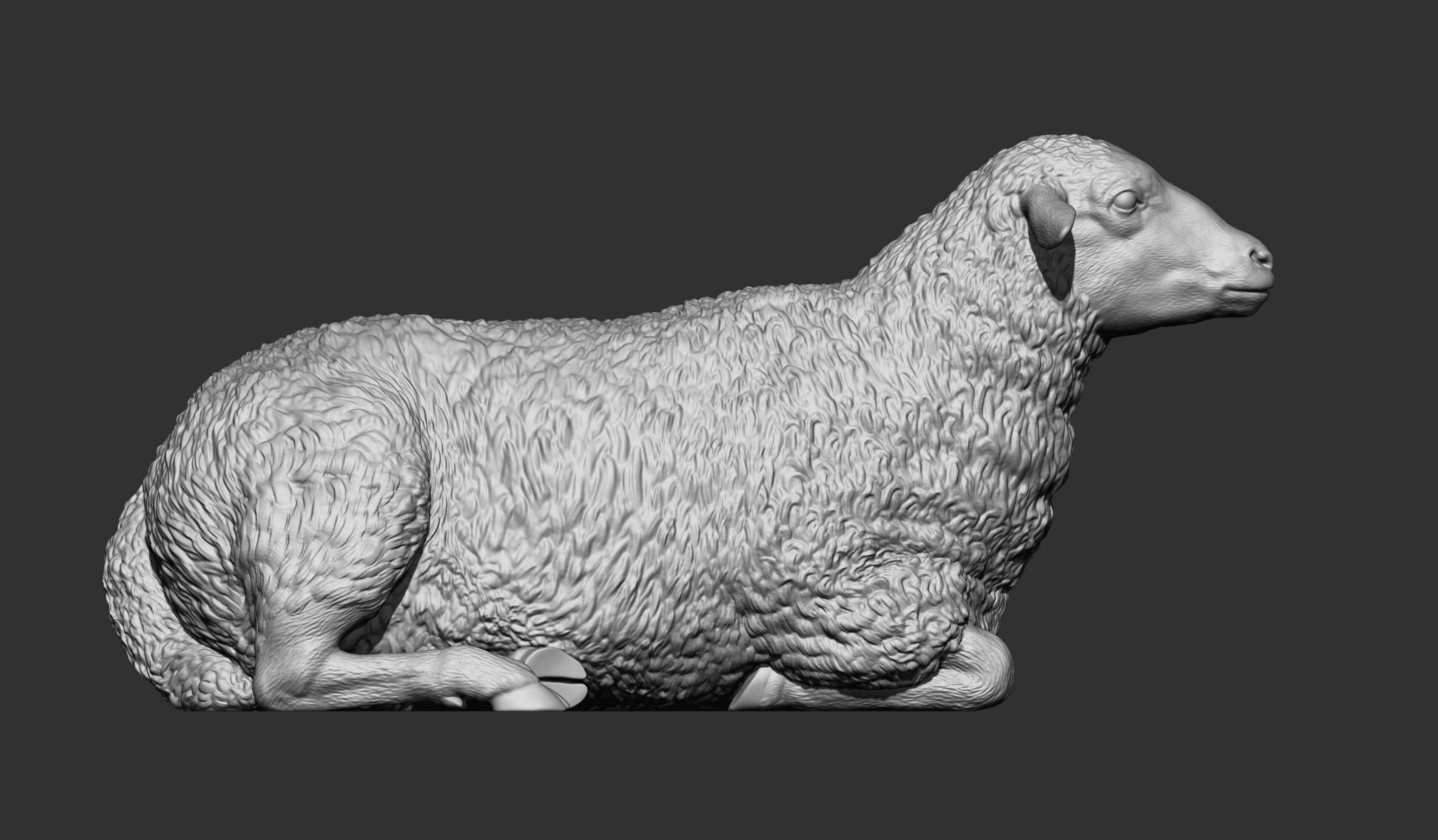 Sheep Lies 3D Print Model by Alexander3dart