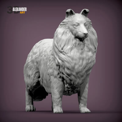 Sheltie Sculpture - 3D Model by Alexander3dart