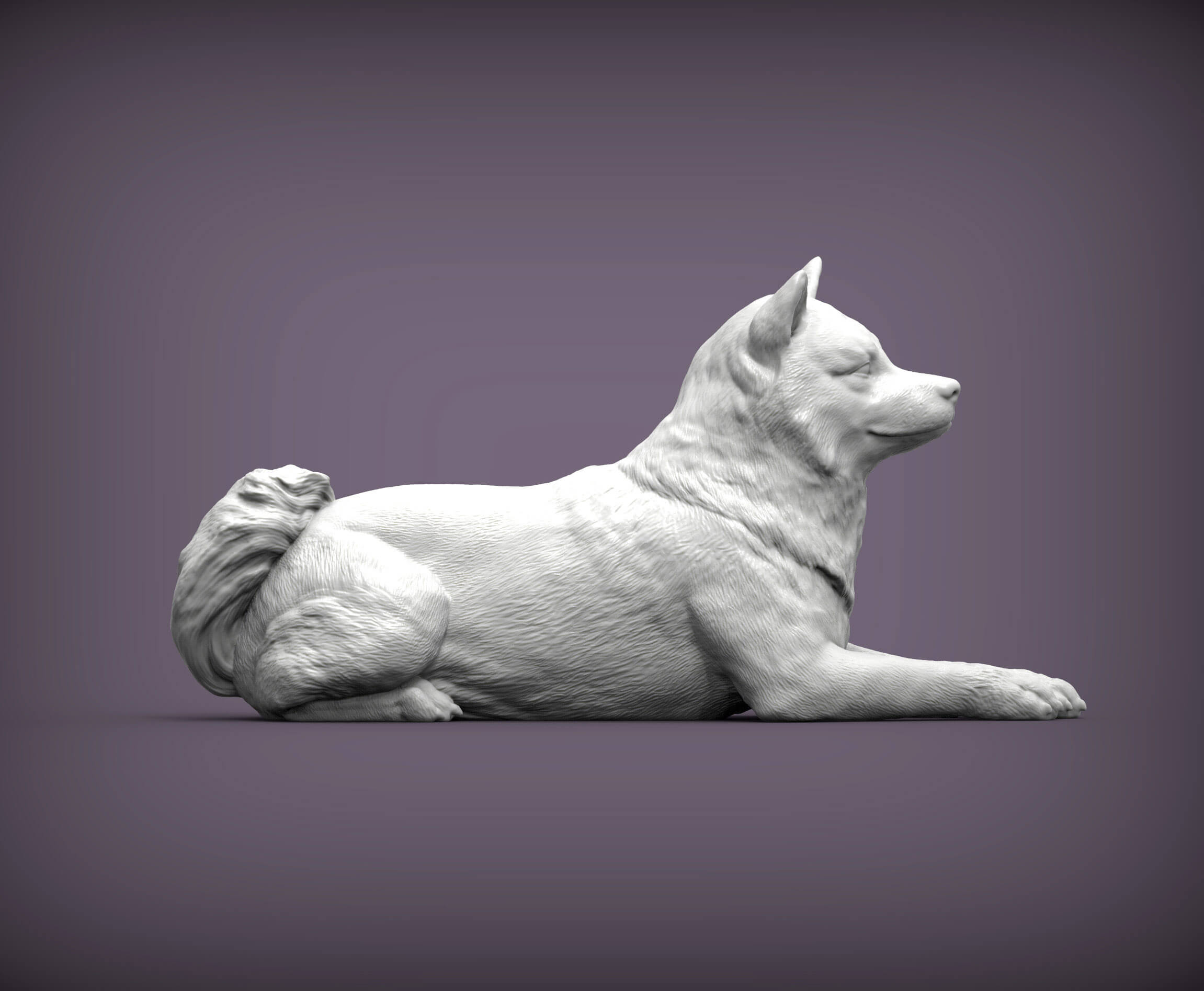 Shiba Inu 3D Print Model 3D Print Model by Alexander3dart