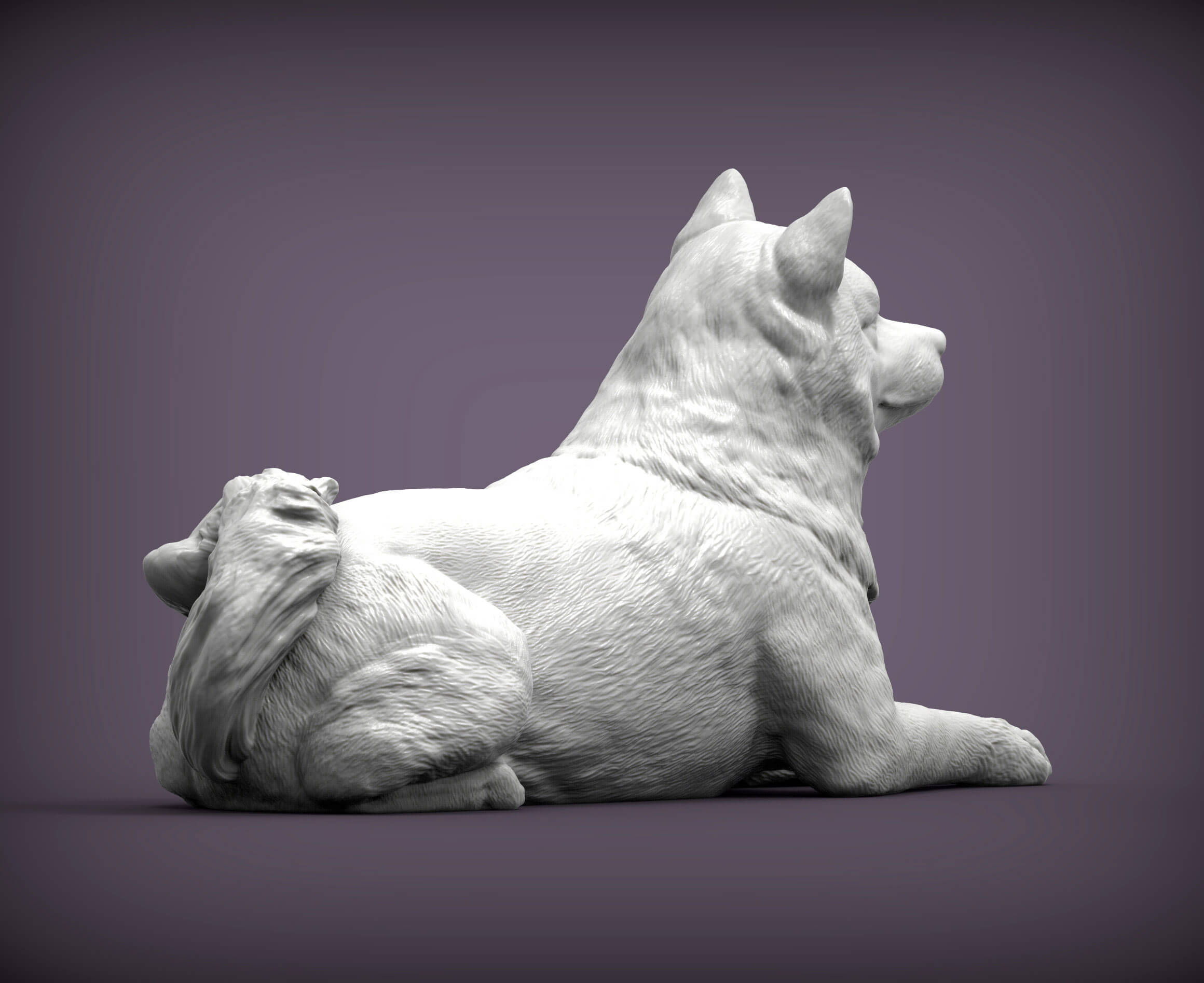 Shiba Inu 3D Print Model 3D Print Model by Alexander3dart